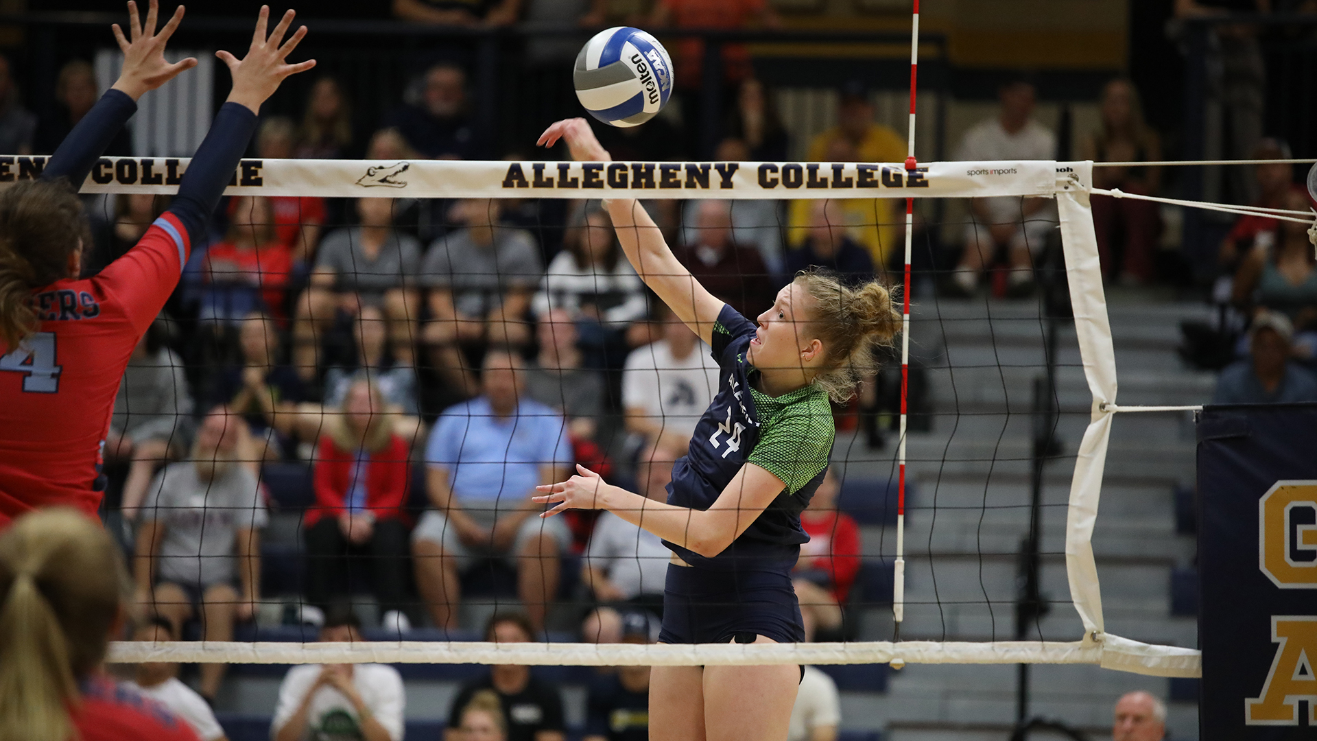 Gators top Titans for ninth straight win - Allegheny College Athletics