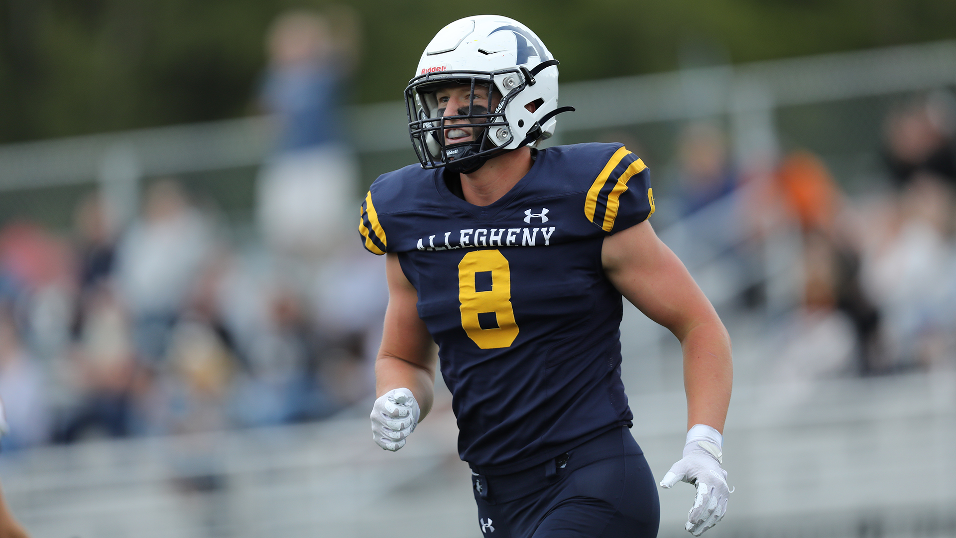 Shawn Stelling - Football - Allegheny College Athletics