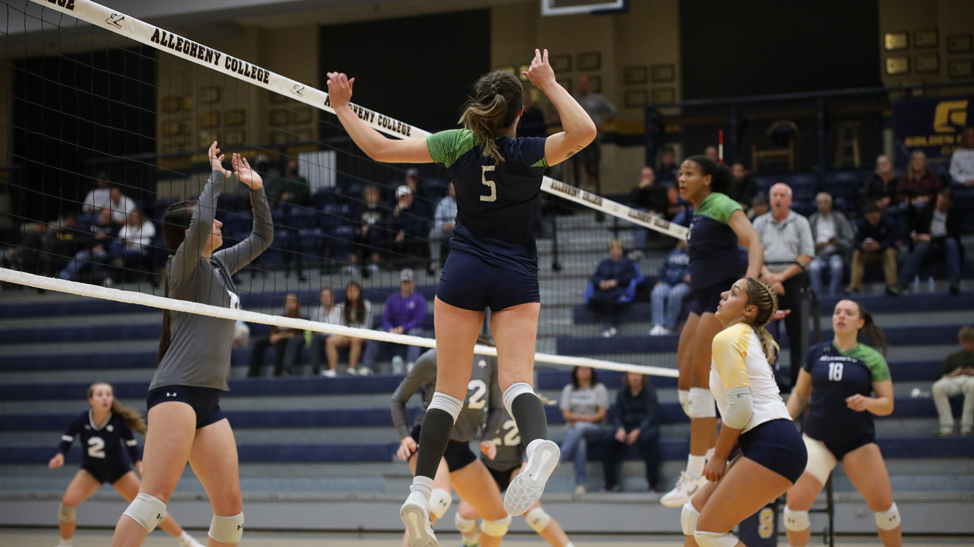 Cheyenne Wilson - Women's Volleyball - Allegheny College Athletics