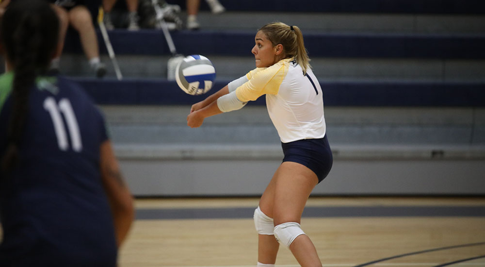 Volleyball concludes play at Purple and White Invitational - Allegheny ...
