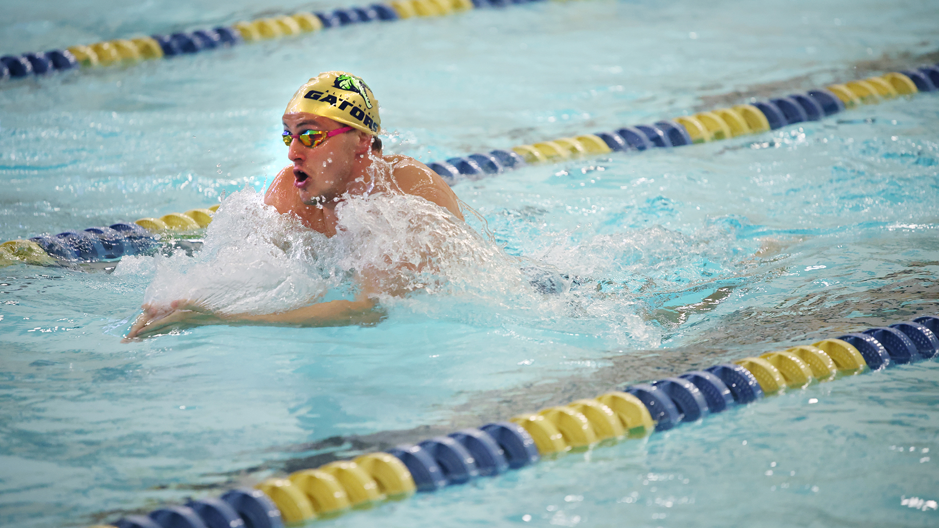 Daniel Jackson - Men's Swimming and Diving - Allegheny College Athletics