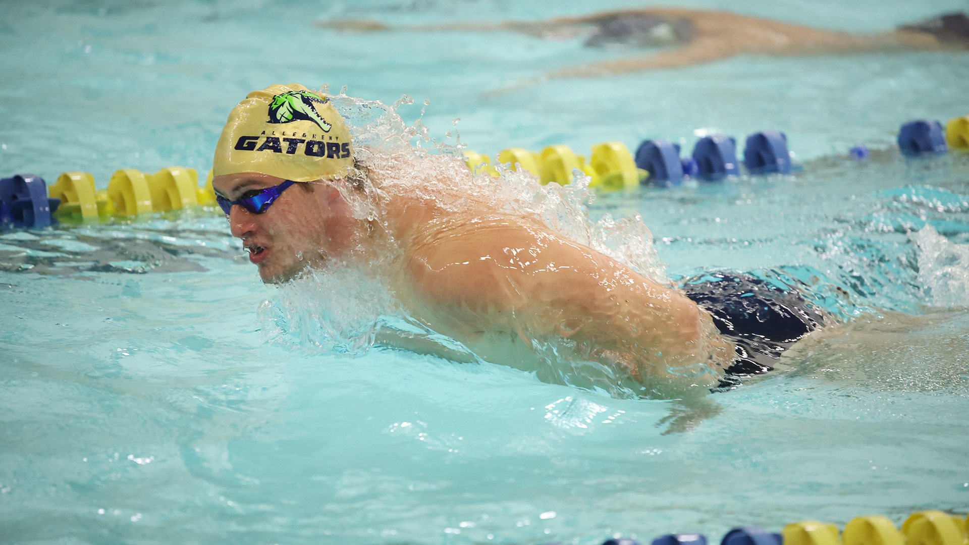 Daniel Jackson - Men's Swimming and Diving - Allegheny College Athletics