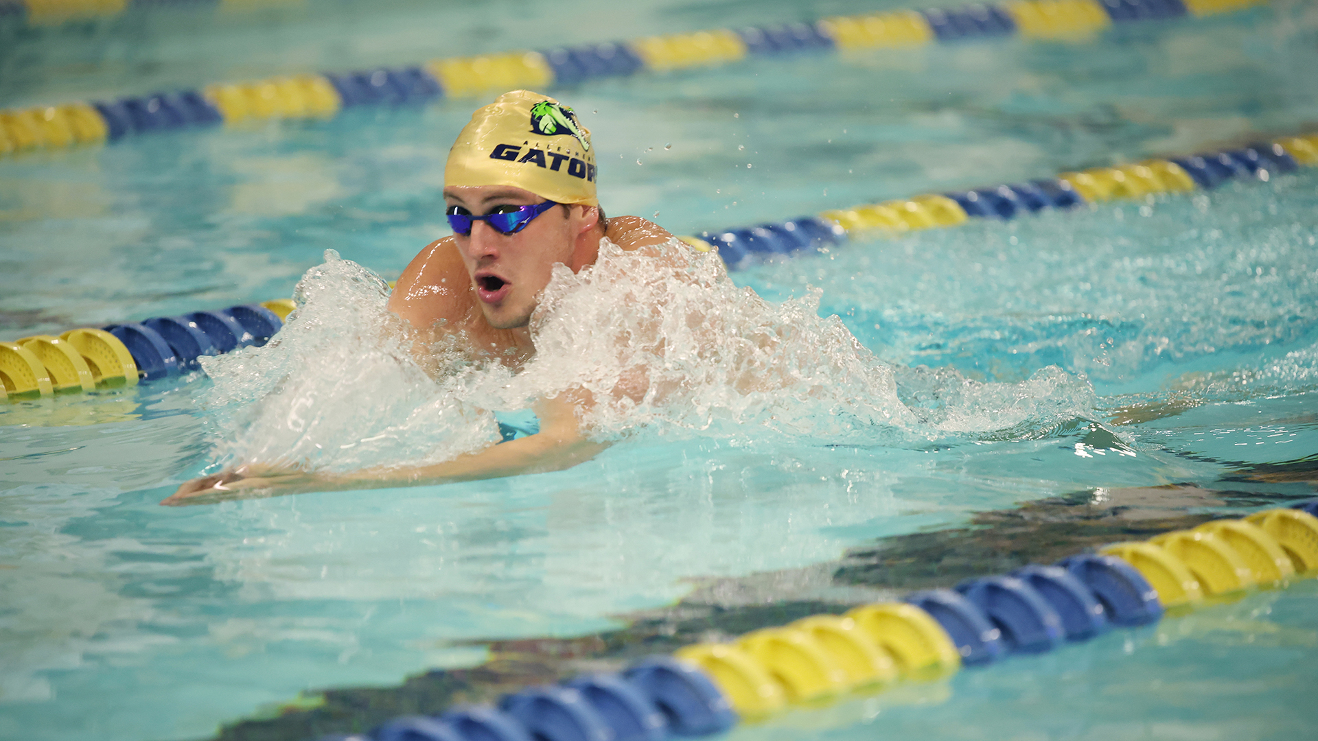 Daniel Jackson - Men's Swimming and Diving - Allegheny College Athletics