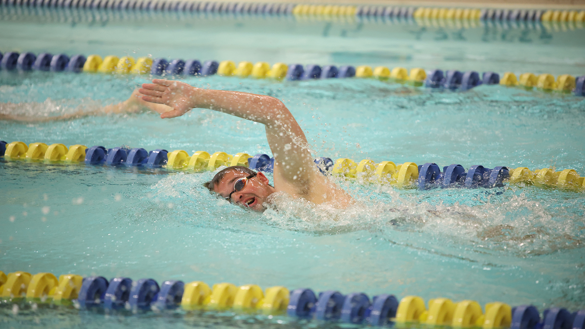 Daniel Logue - Men's Swimming and Diving - Allegheny College Athletics