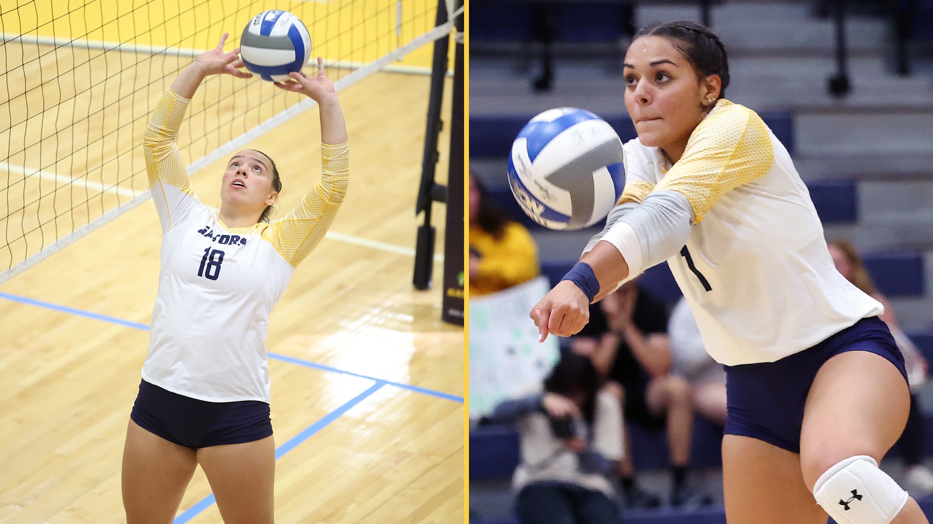 Gators Set Milestones in Tri-Match Sweep - Allegheny College Athletics