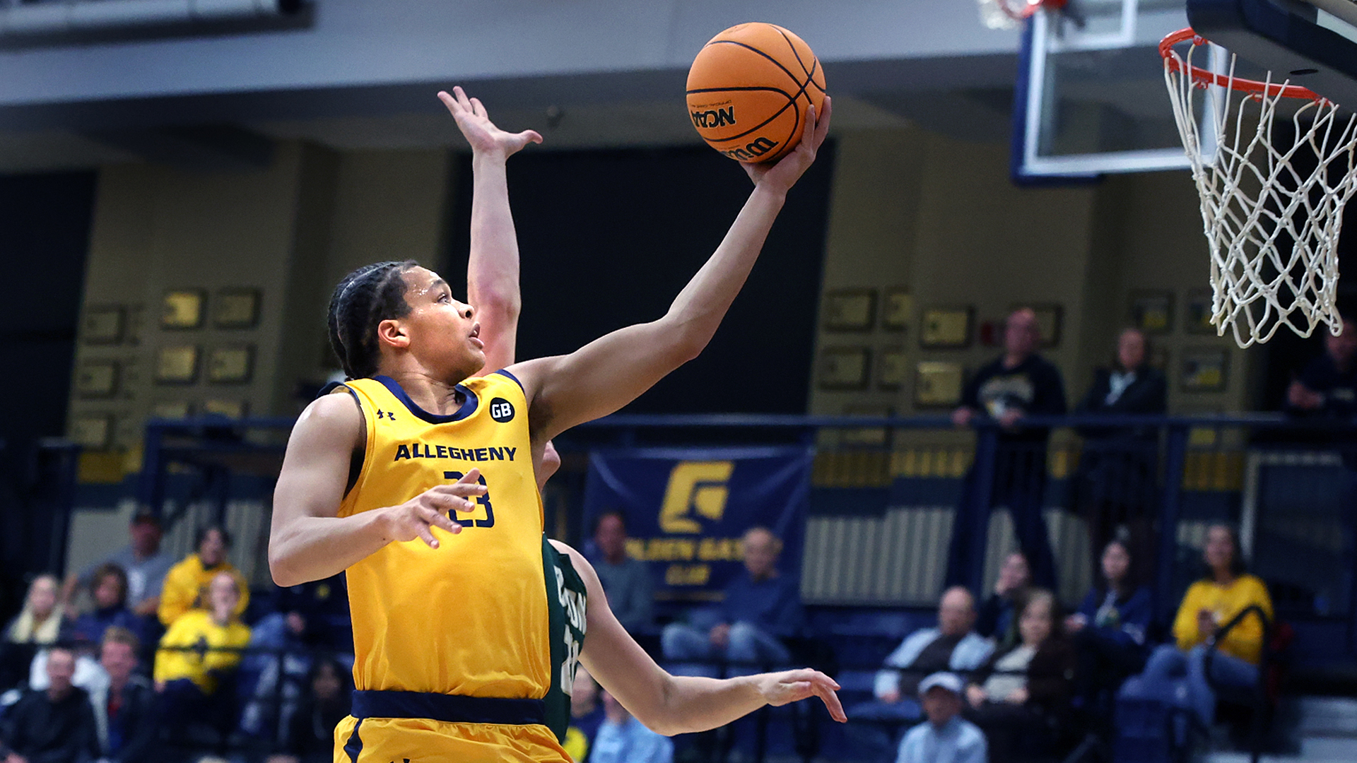 Andre Wilder - Men's Basketball - Allegheny College Athletics