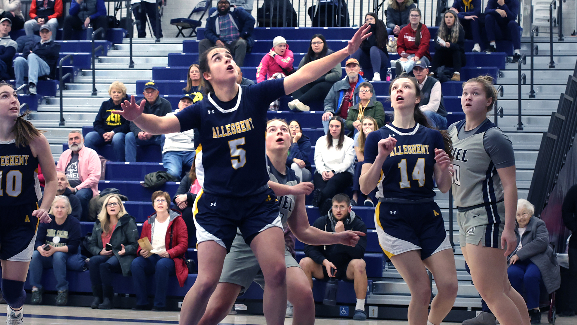 Gators' Second-Half Leads Slips Away in Fourth Quarter at Westminster ...