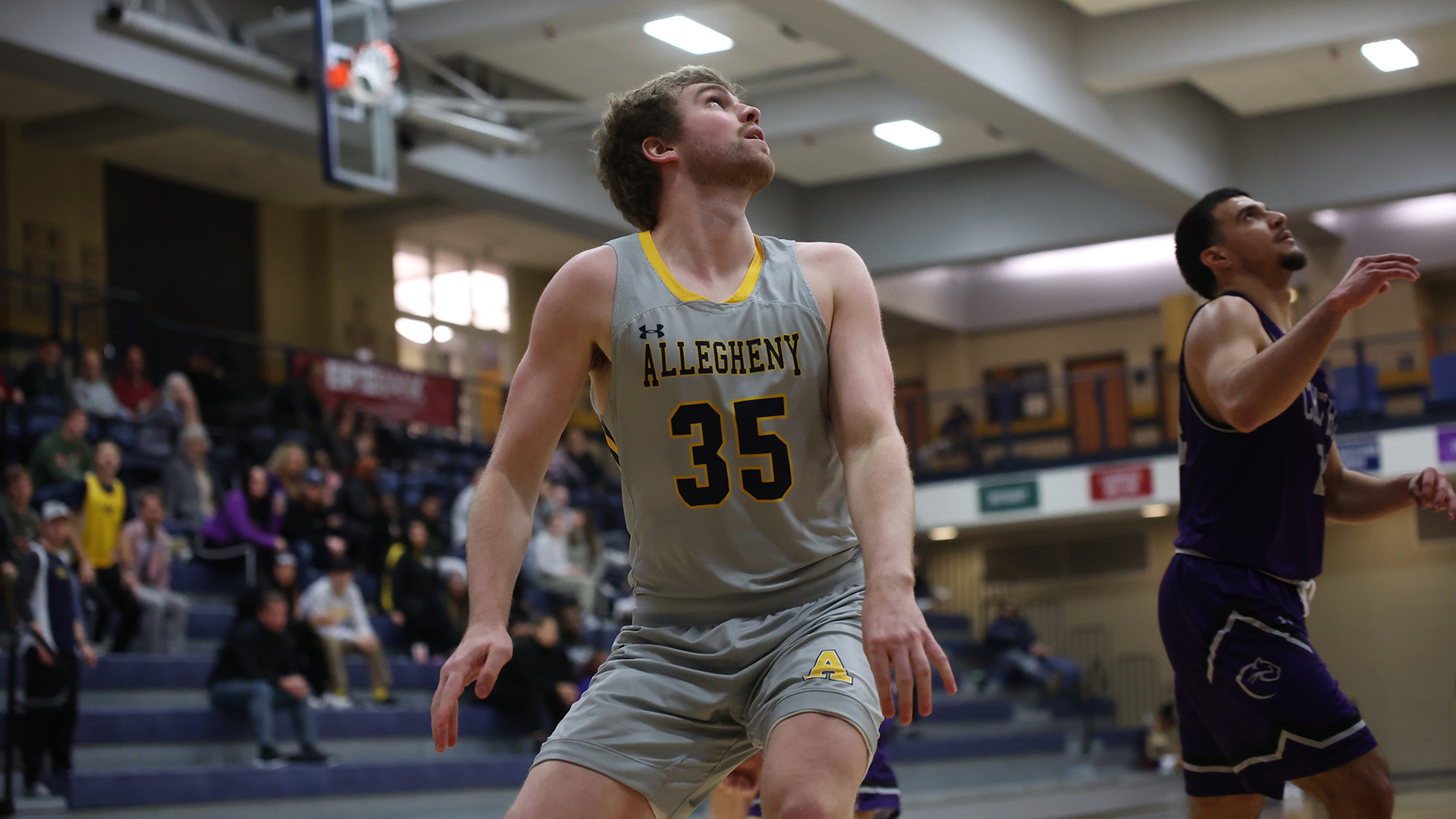 Mike Noonan - Men's Basketball - Allegheny College Athletics
