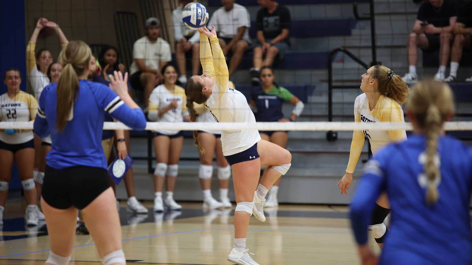 Gators Win Five Set Thriller Against Geneva - Allegheny College Athletics