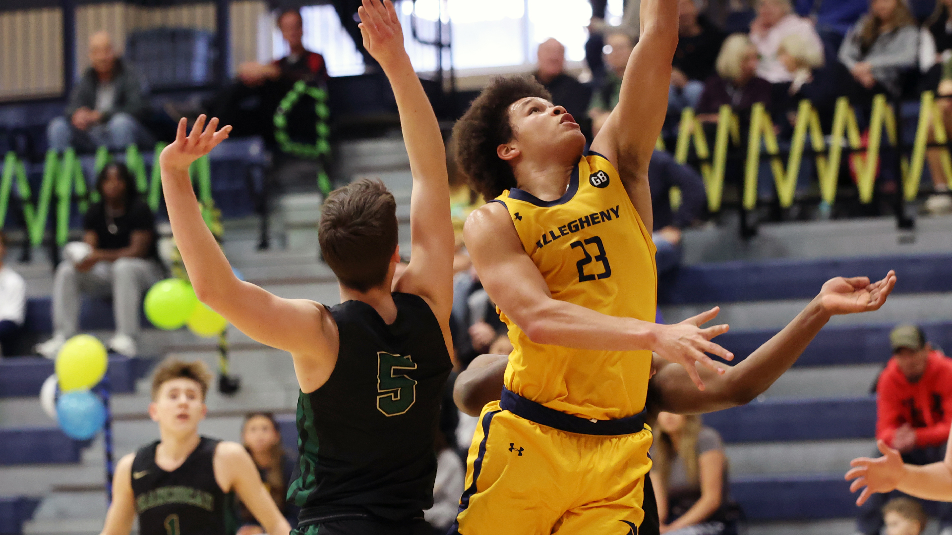 Andre Wilder - Men's Basketball - Allegheny College Athletics