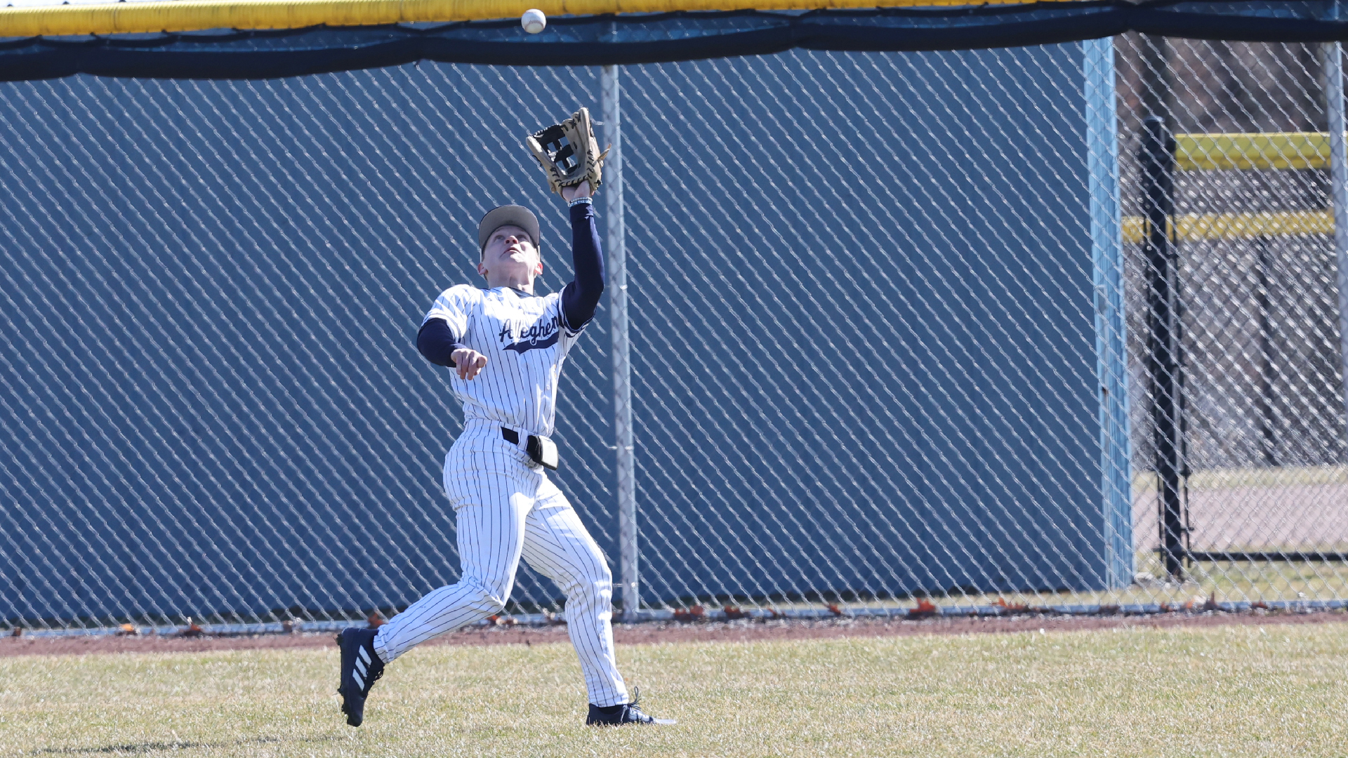 Ryan Dougherty - Baseball - Allegheny College Athletics