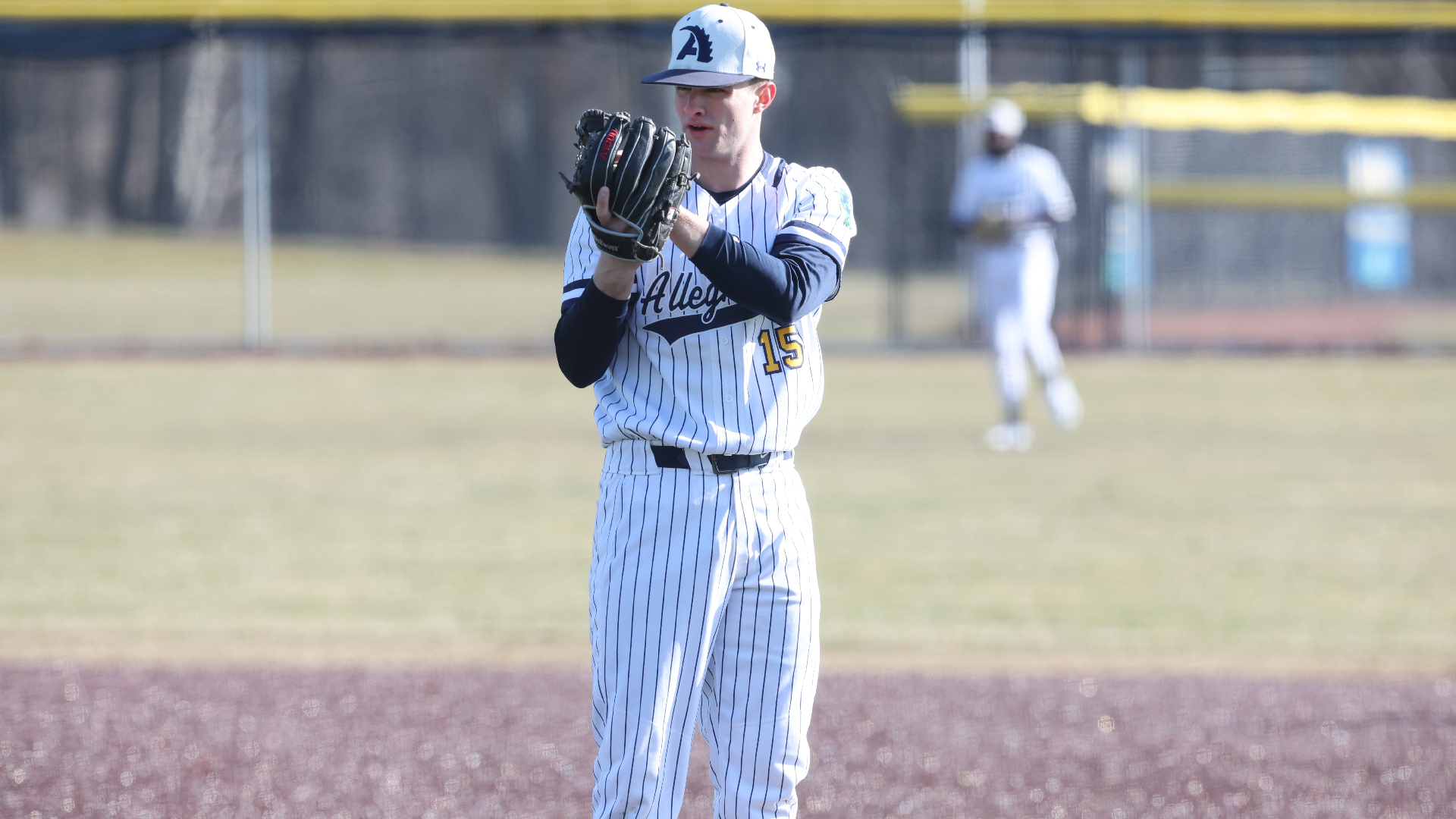 Brent Herrmann - Baseball - Allegheny College Athletics