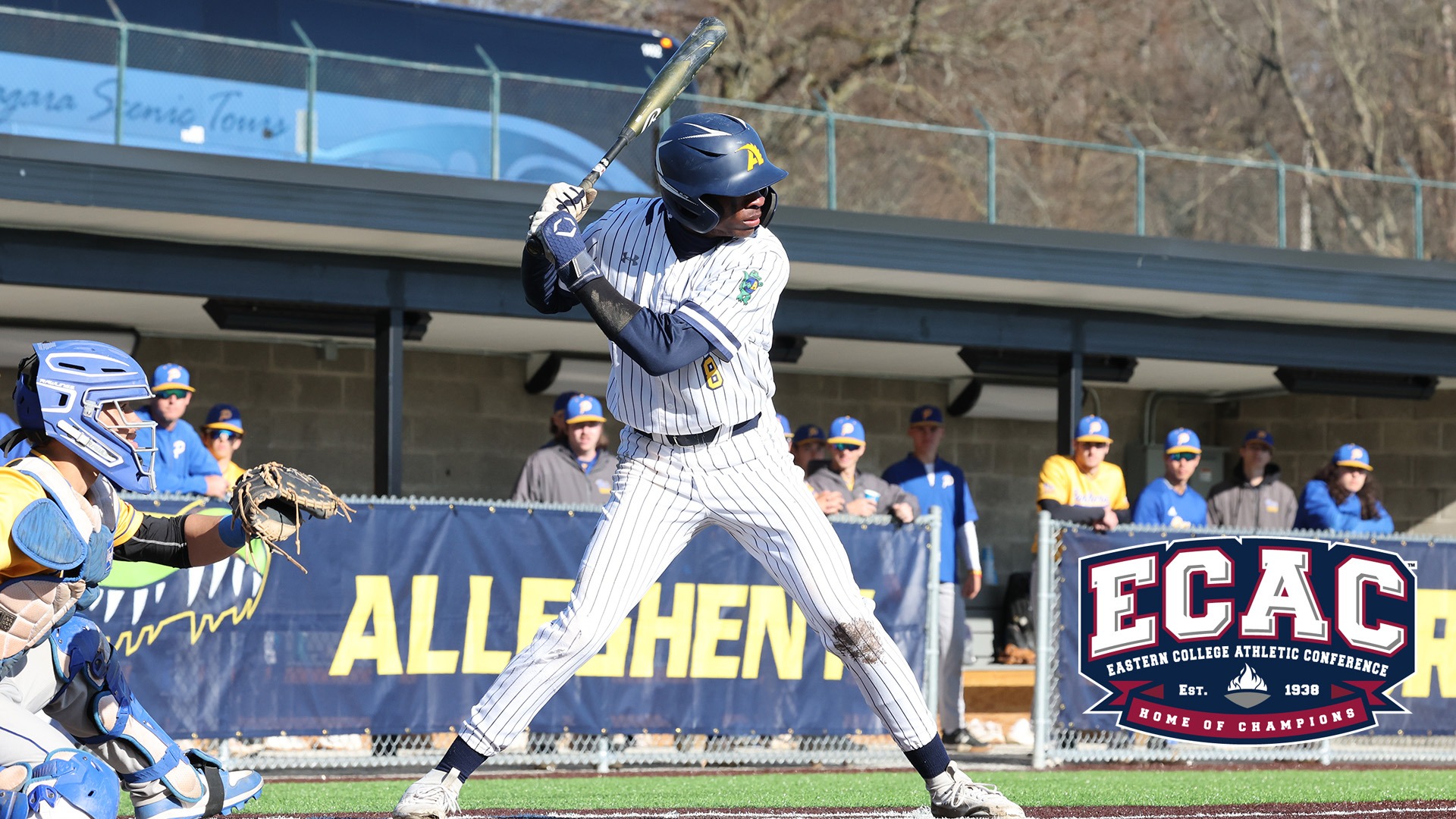 Bryant-Dawson Named to 2024 ABCA Region 7 All-Defensive Team ...
