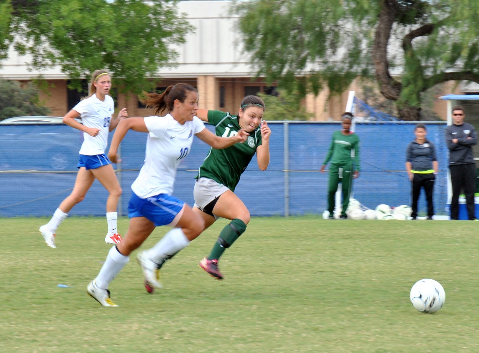 Maggie Schaffer - Soccer - Angelo State University Athletics