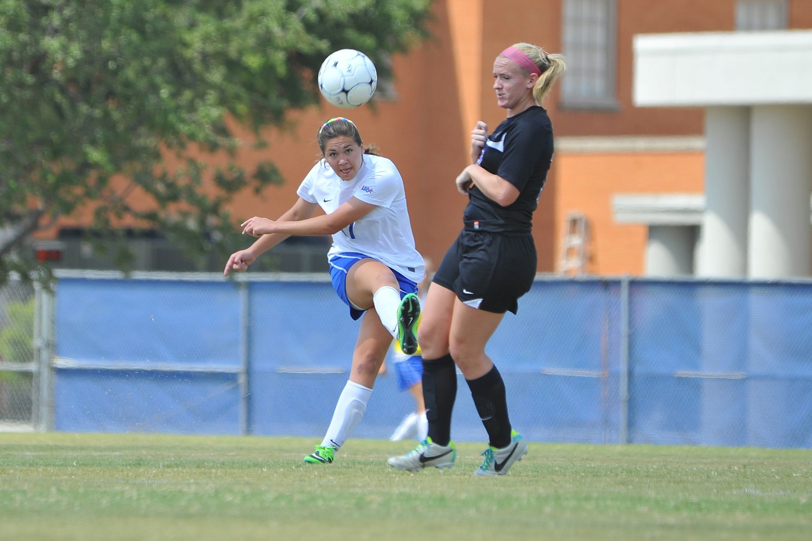 Selena Alvarez - Soccer - Angelo State University Athletics