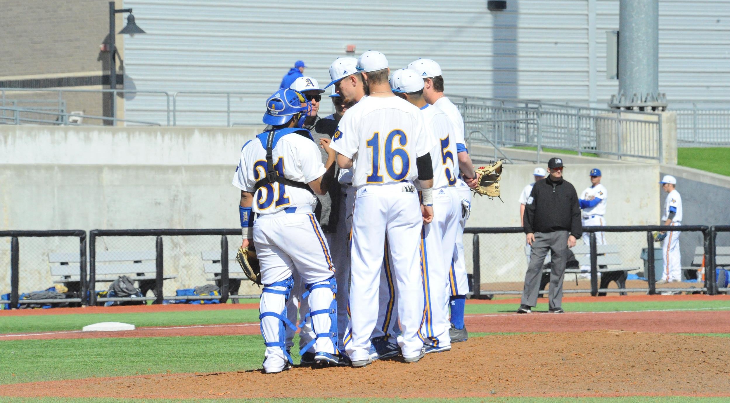 Nicholas Novak - Baseball - Angelo State University Athletics