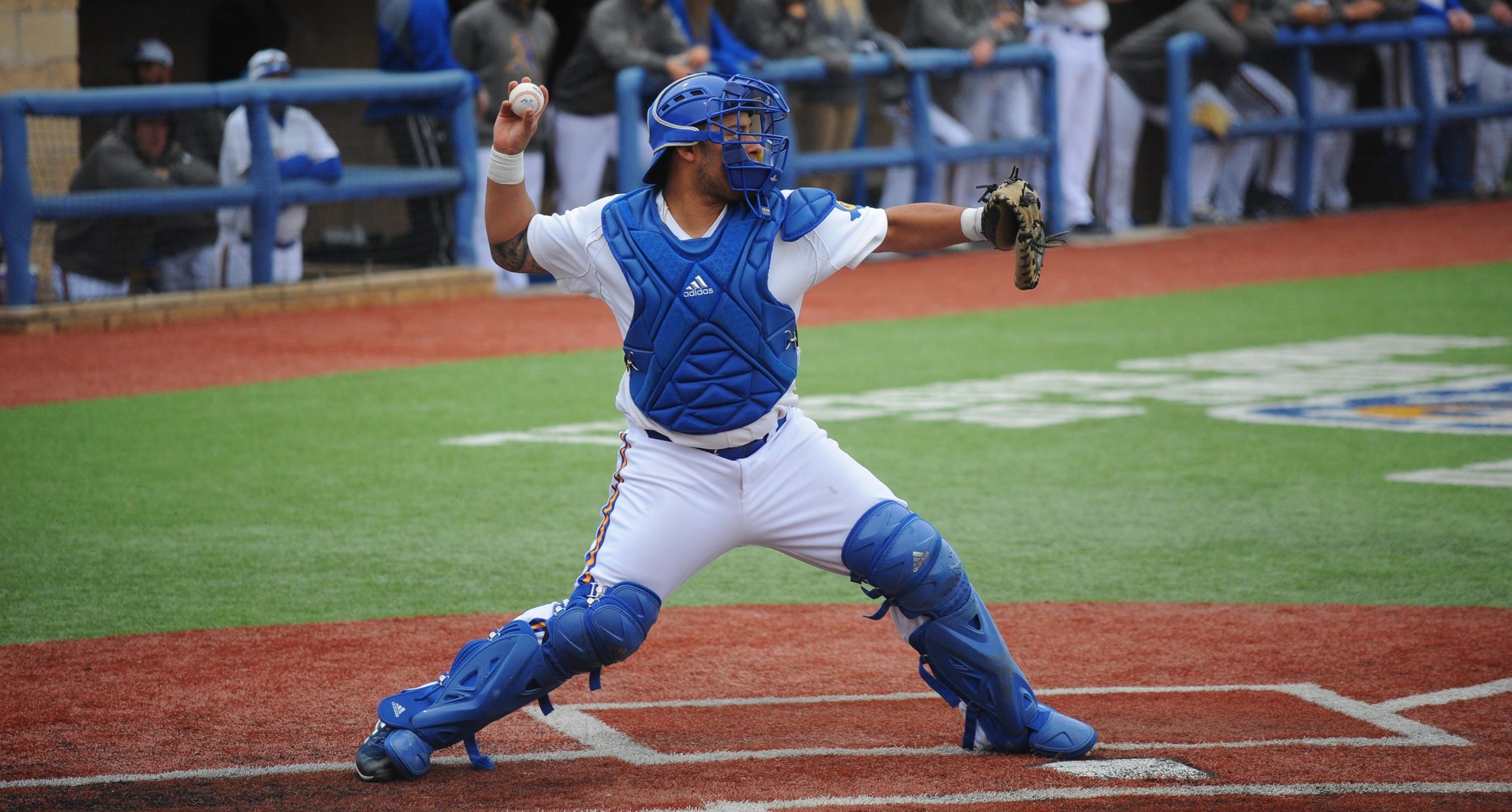 Alex Salcido - Baseball - Angelo State University Athletics