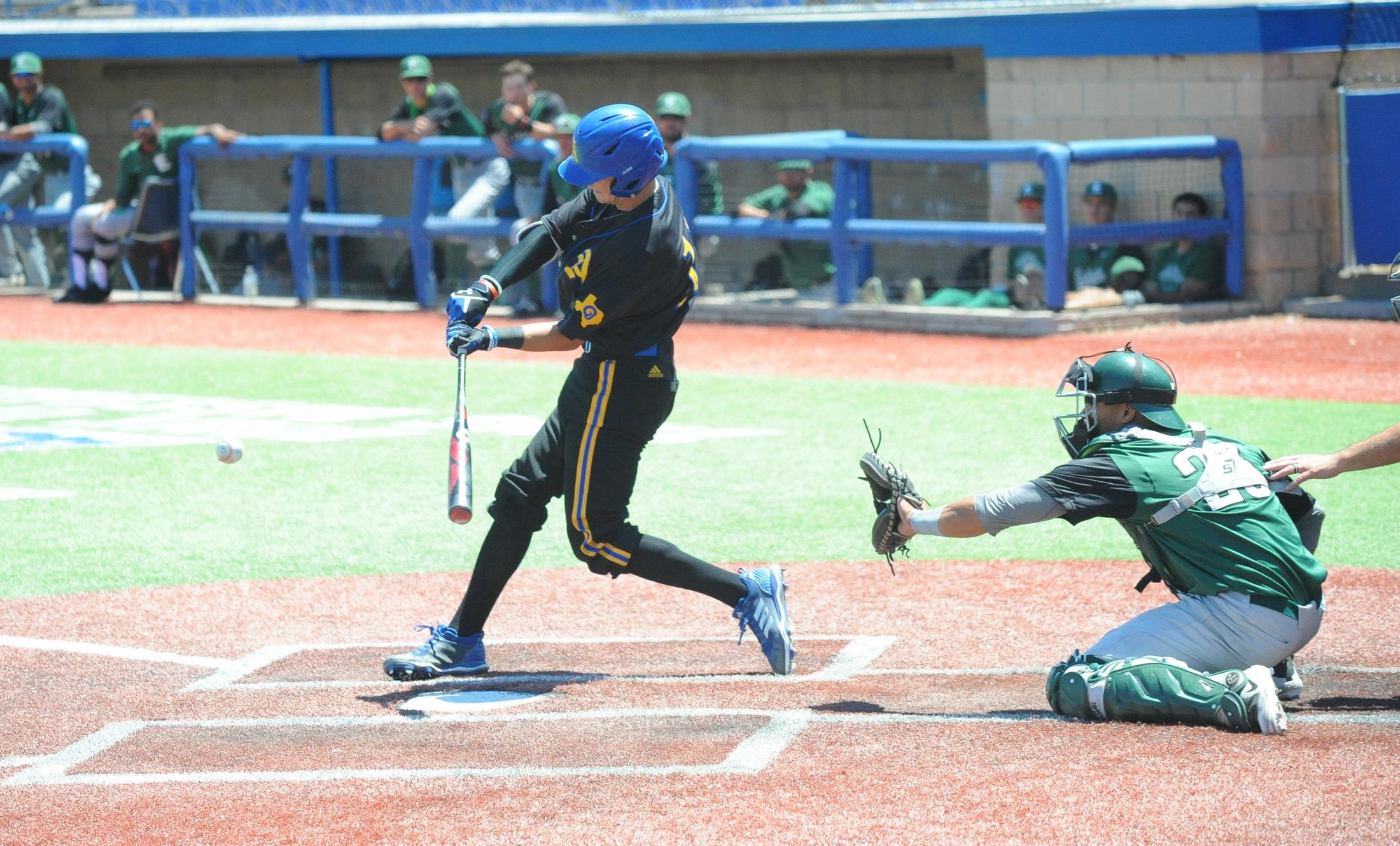 Nicholas Novak - Baseball - Angelo State University Athletics