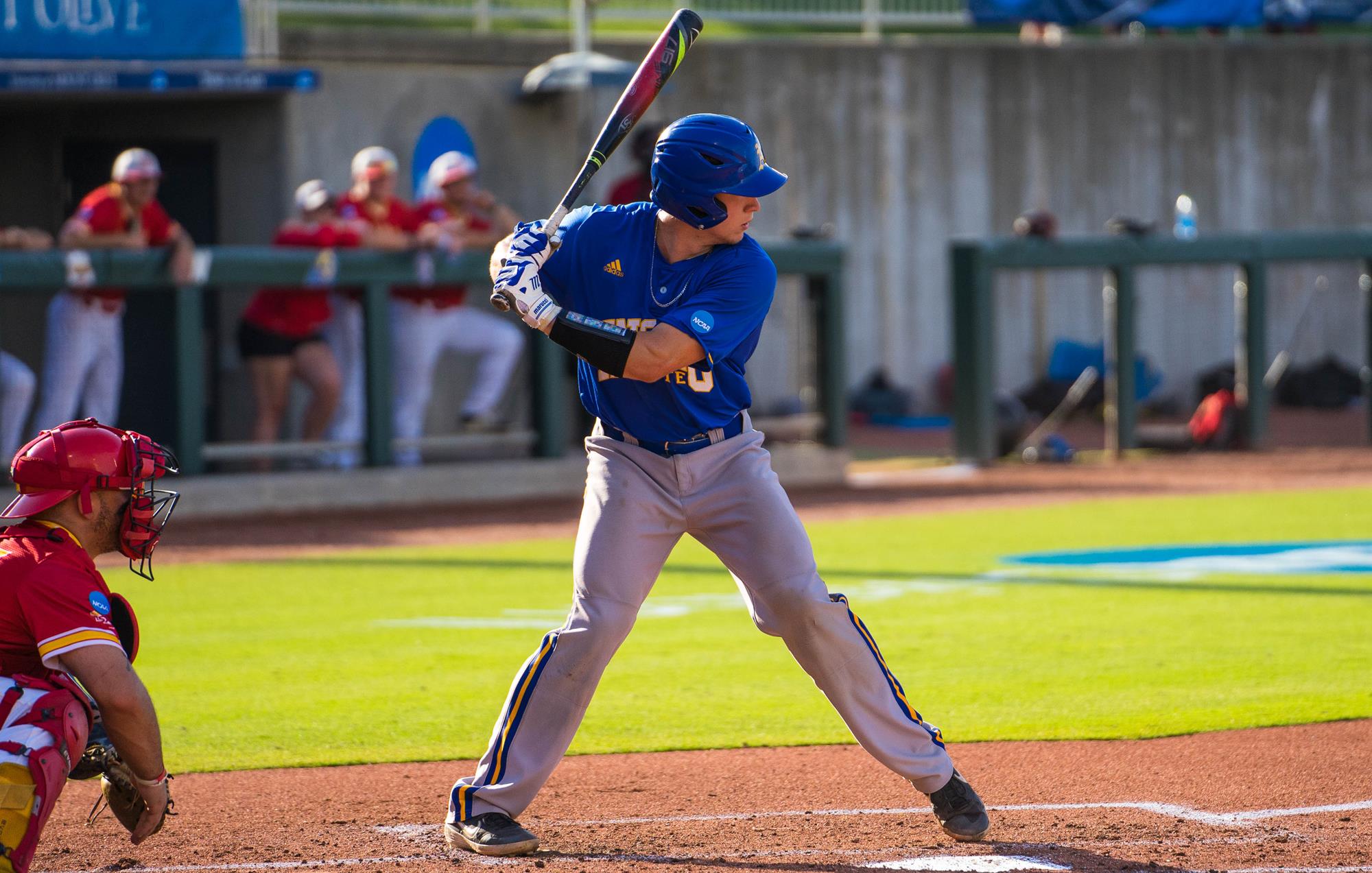 Nick Seginowich - Baseball - Angelo State University Athletics