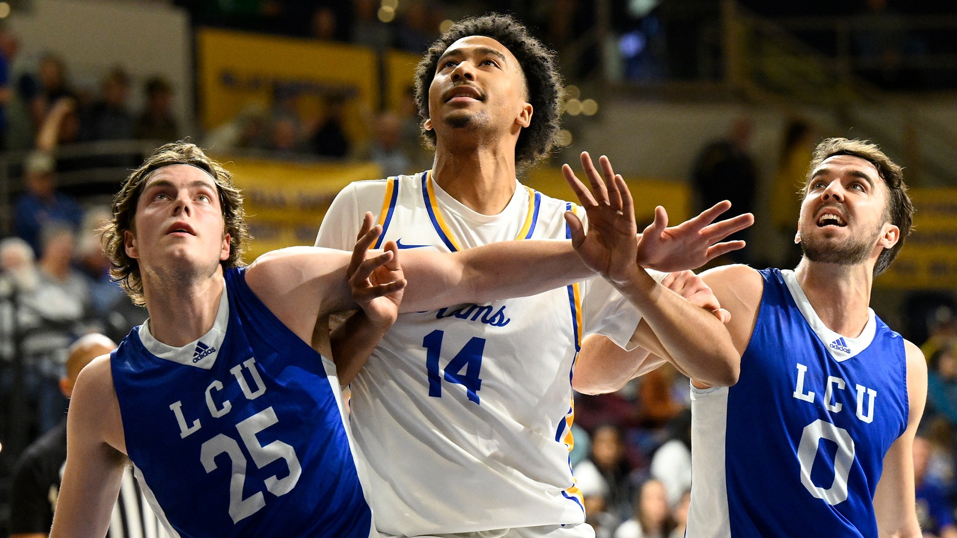 Barlow Alleruzzo IV - Men's Basketball - Angelo State University Athletics