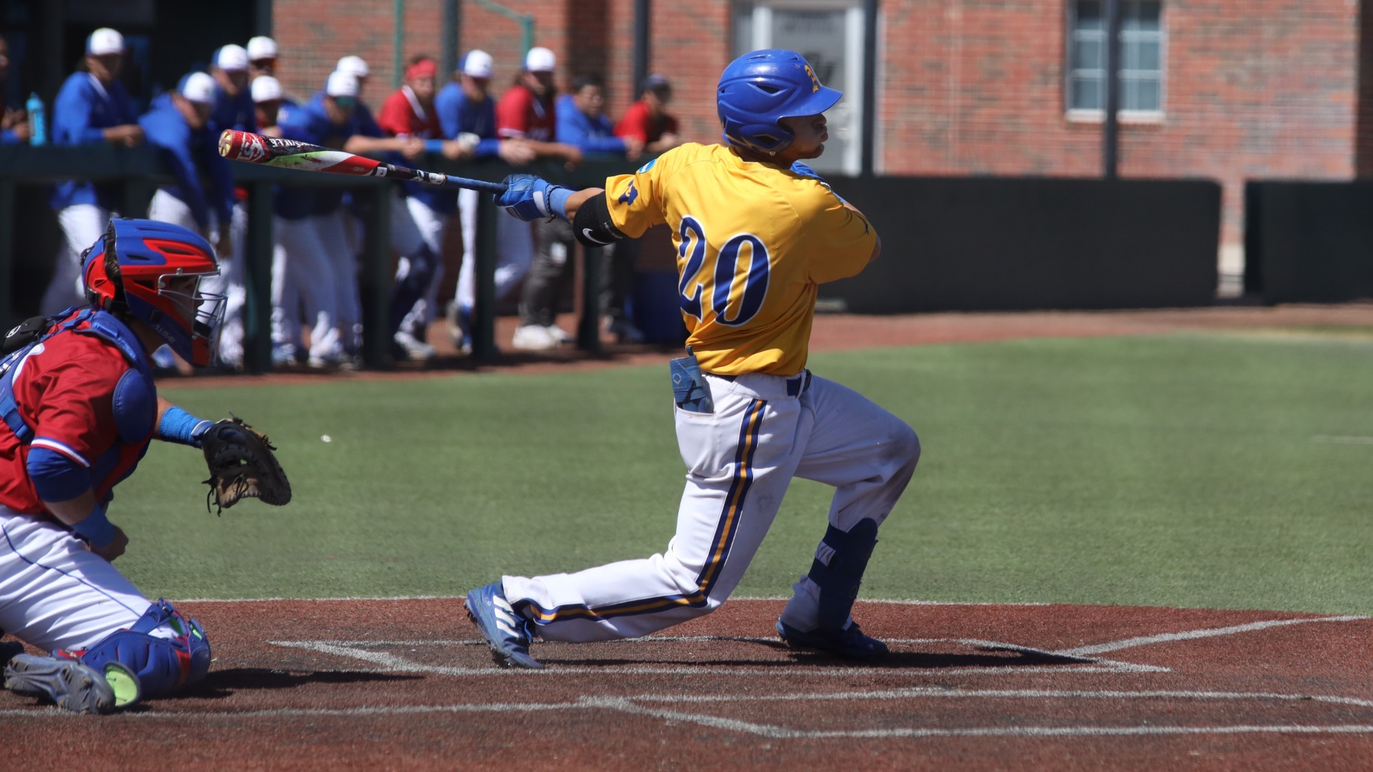 Thomas Cain - Baseball - Angelo State University Athletics