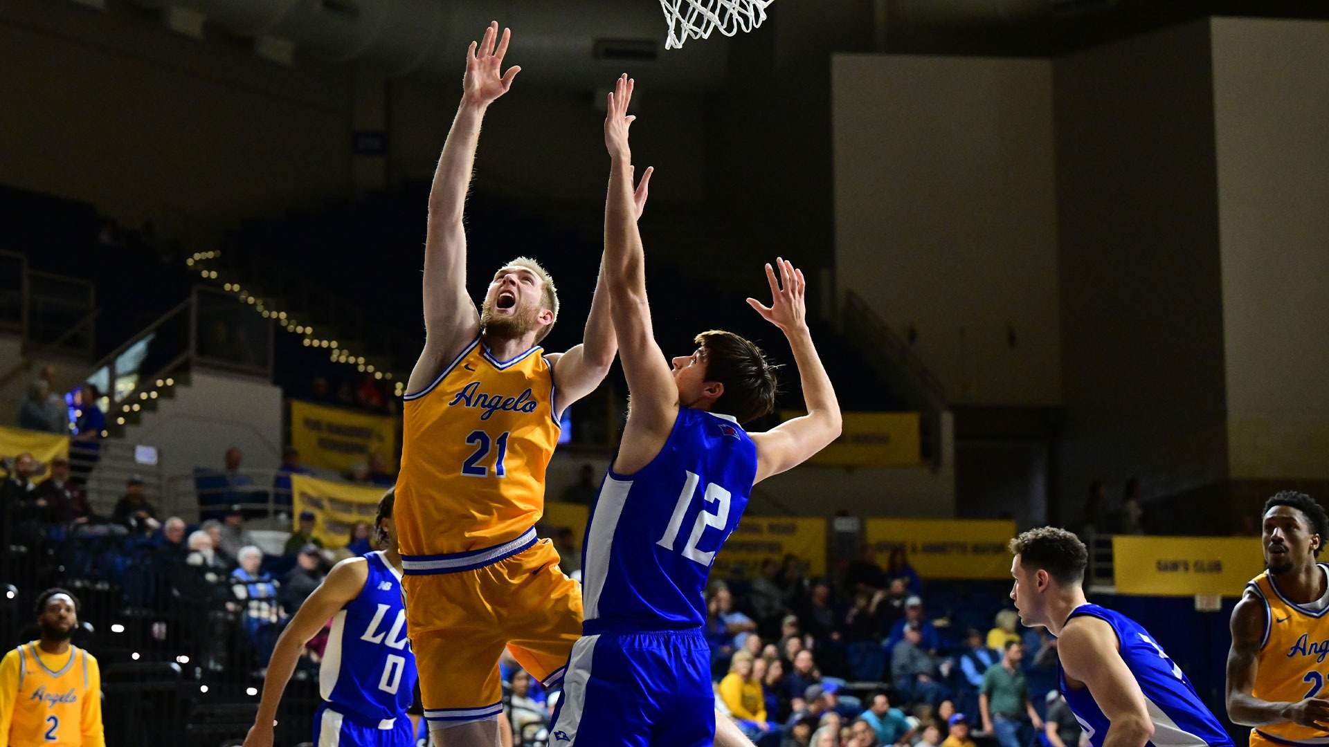 Trey Farrer - Men's Basketball - Angelo State University Athletics