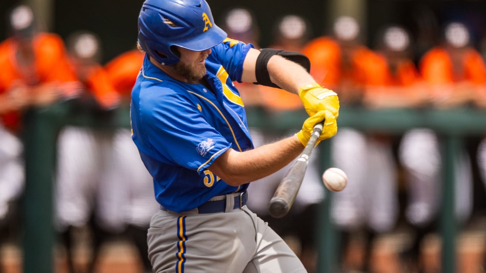 Tripp Clark - Baseball - Angelo State University Athletics
