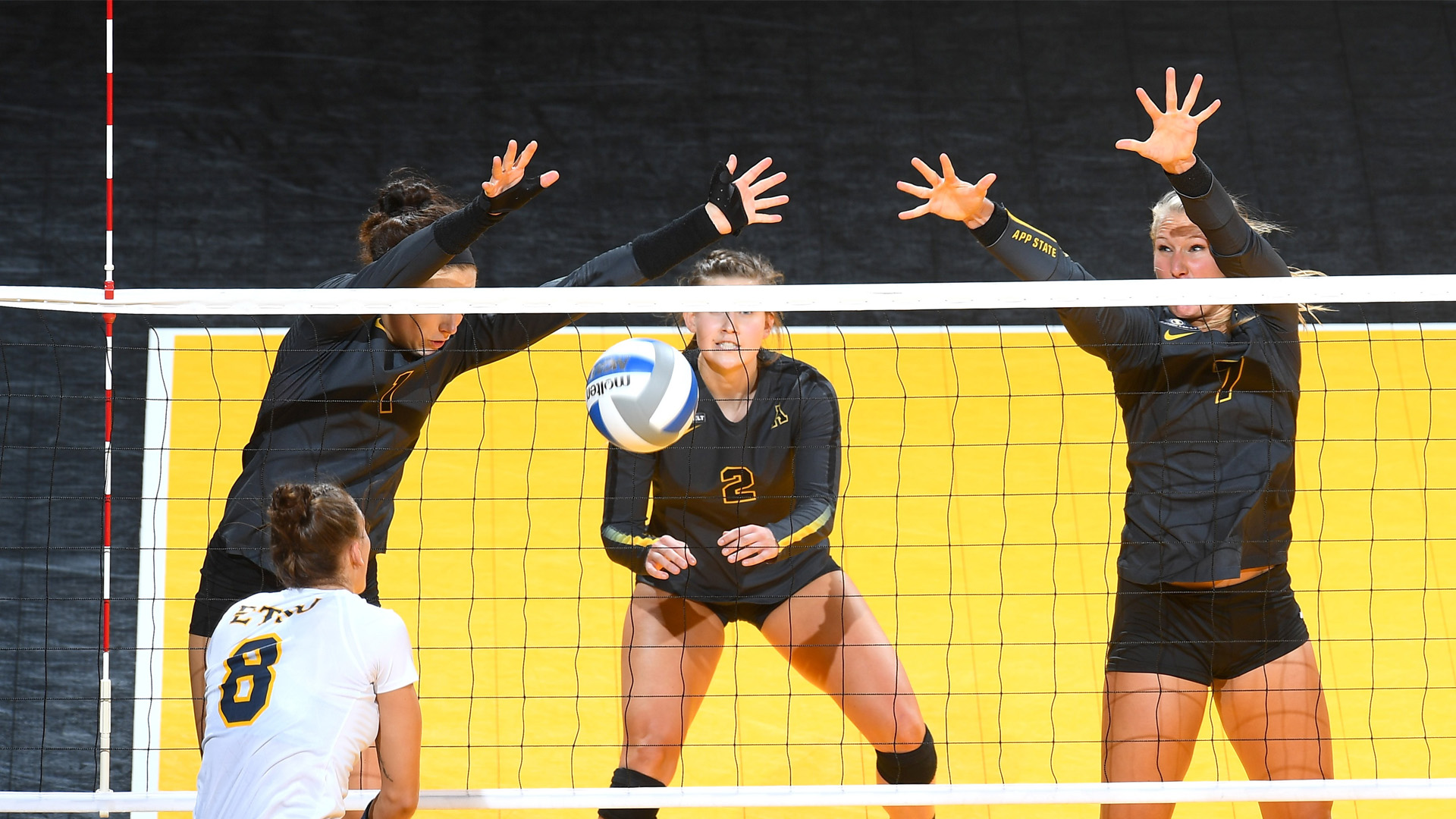 Cassidy Stephenson - Volleyball - App State Athletics
