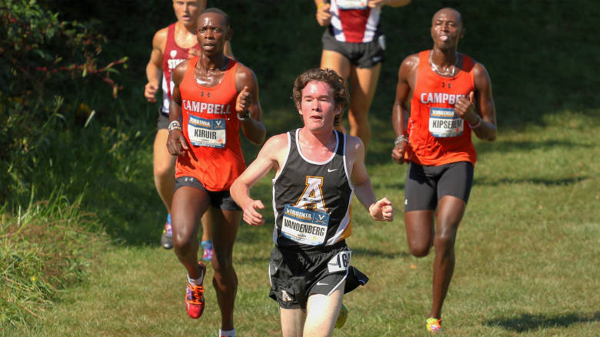 Andrew Vandenberg - Men's Cross Country - App State Athletics