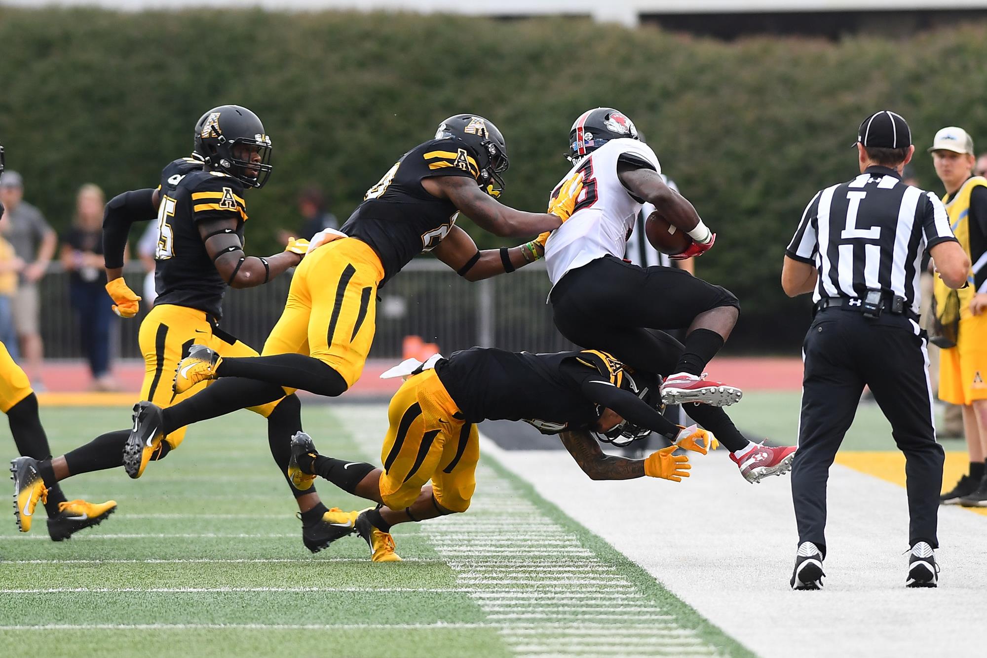 Noel Cook - Football - App State Athletics