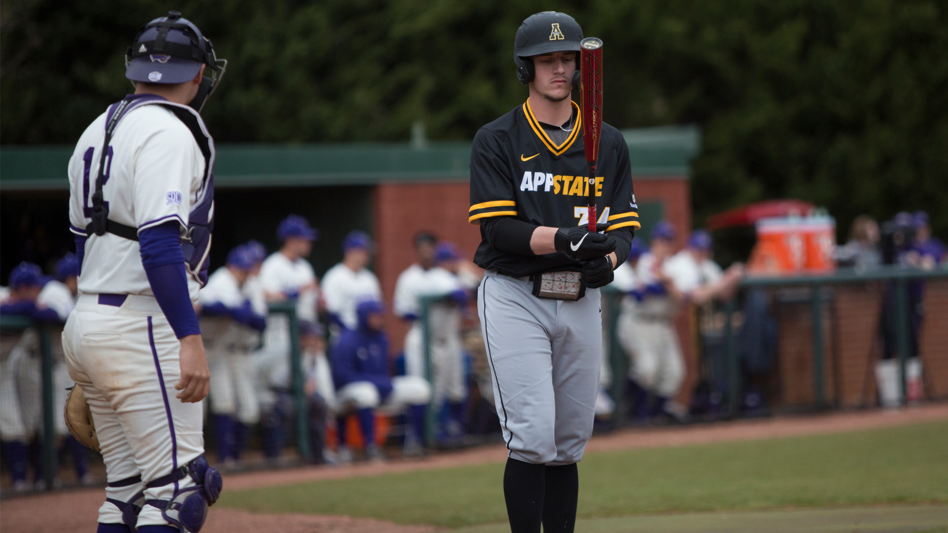 Phillip Cole - Baseball - App State Athletics