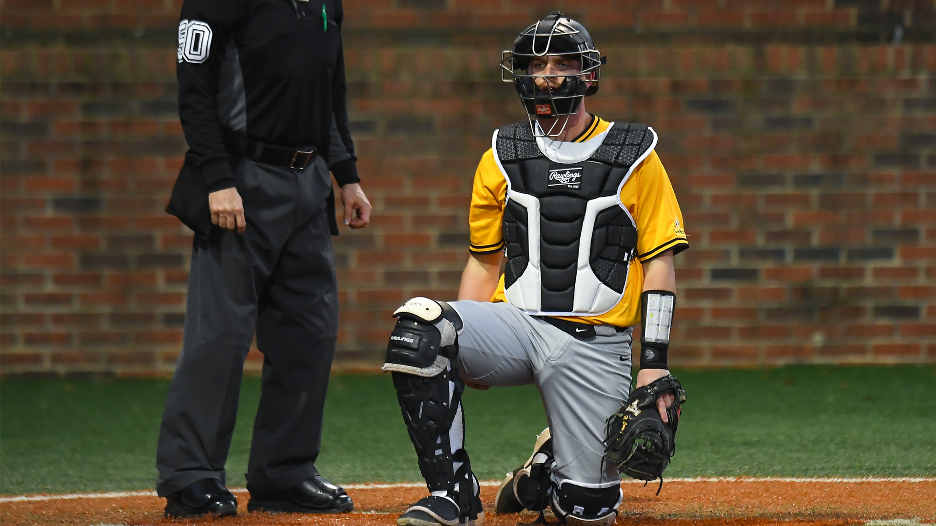 Hayden Cross - Baseball - App State Athletics