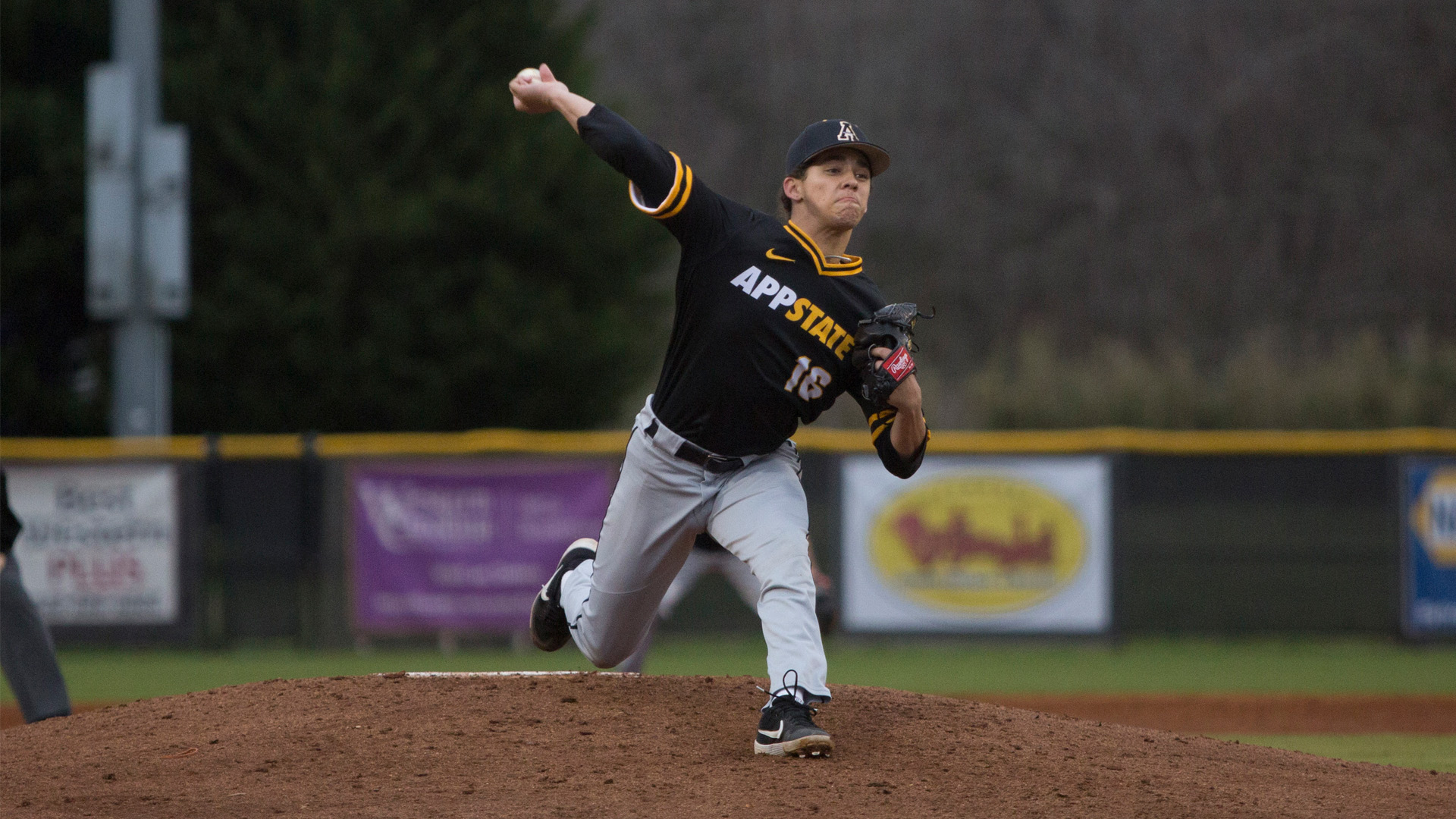 Noah Hall - Baseball - App State Athletics
