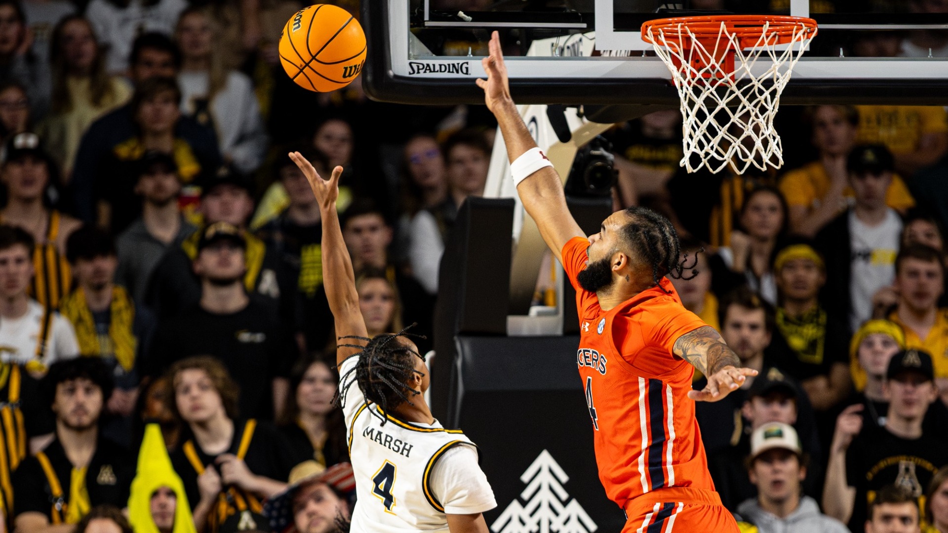 Jordan Marsh - Men's Basketball - App State Athletics