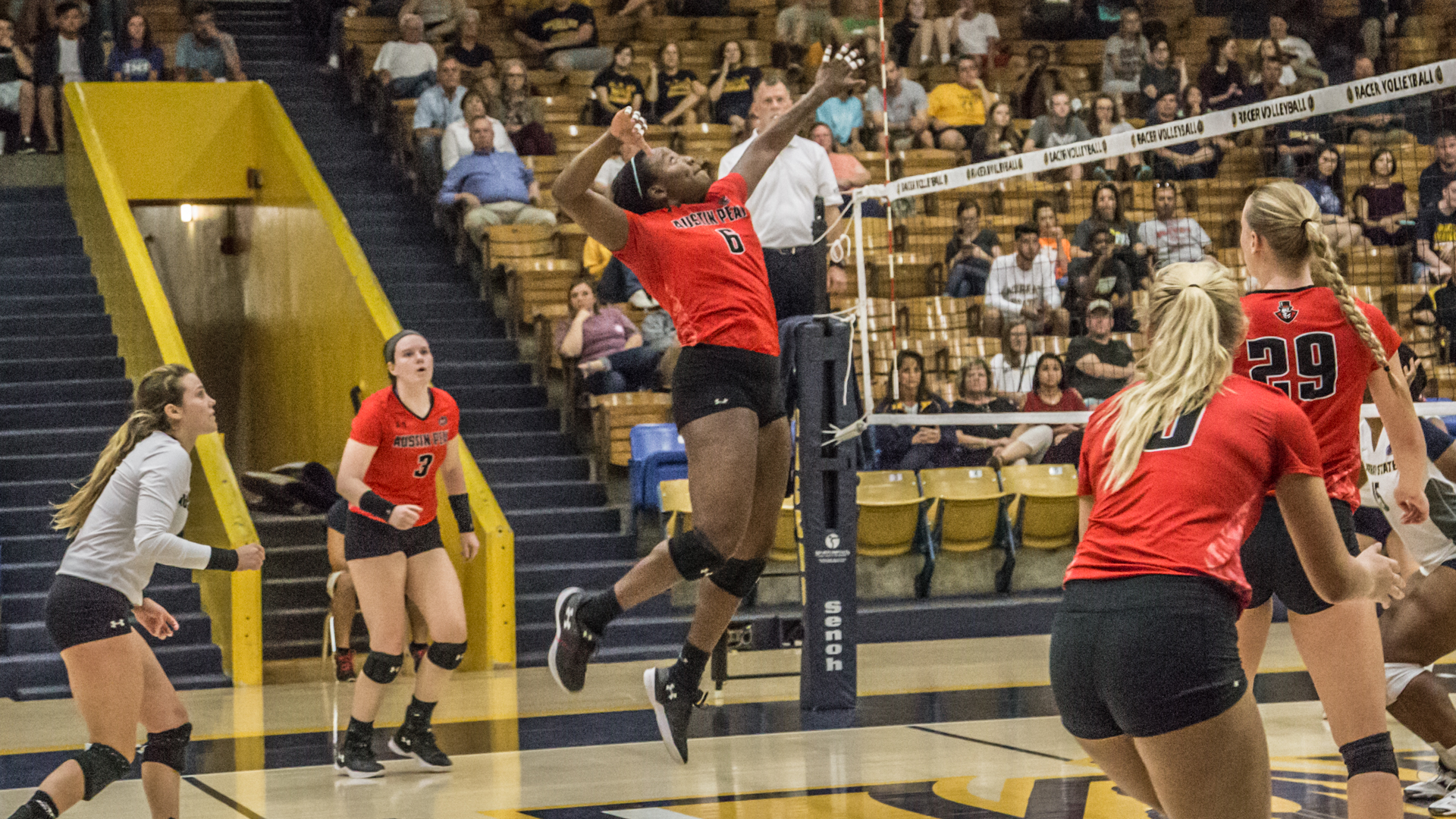 Ashley Slay - Women's Volleyball - Austin Peay State University Athletics