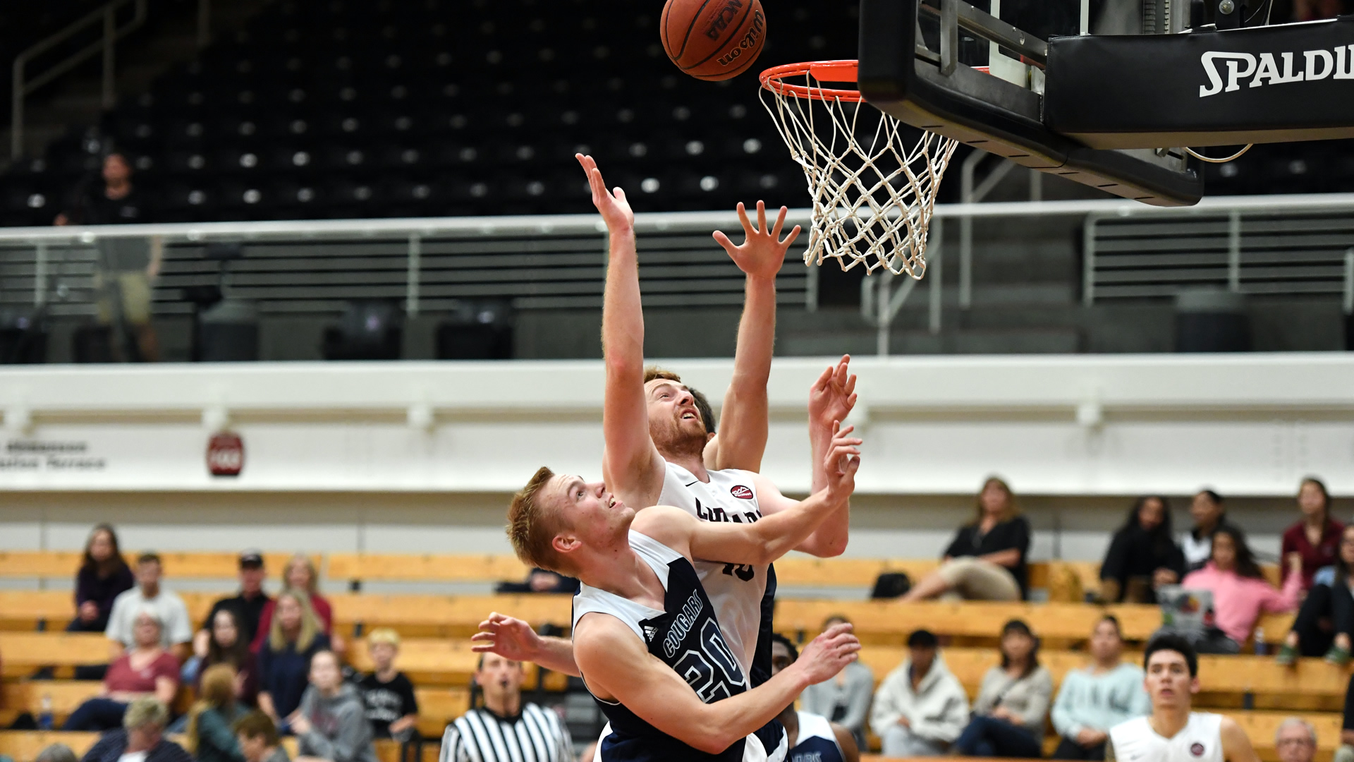 Petar Kutlesic - Men's Basketball - Azusa Pacific University Athletics