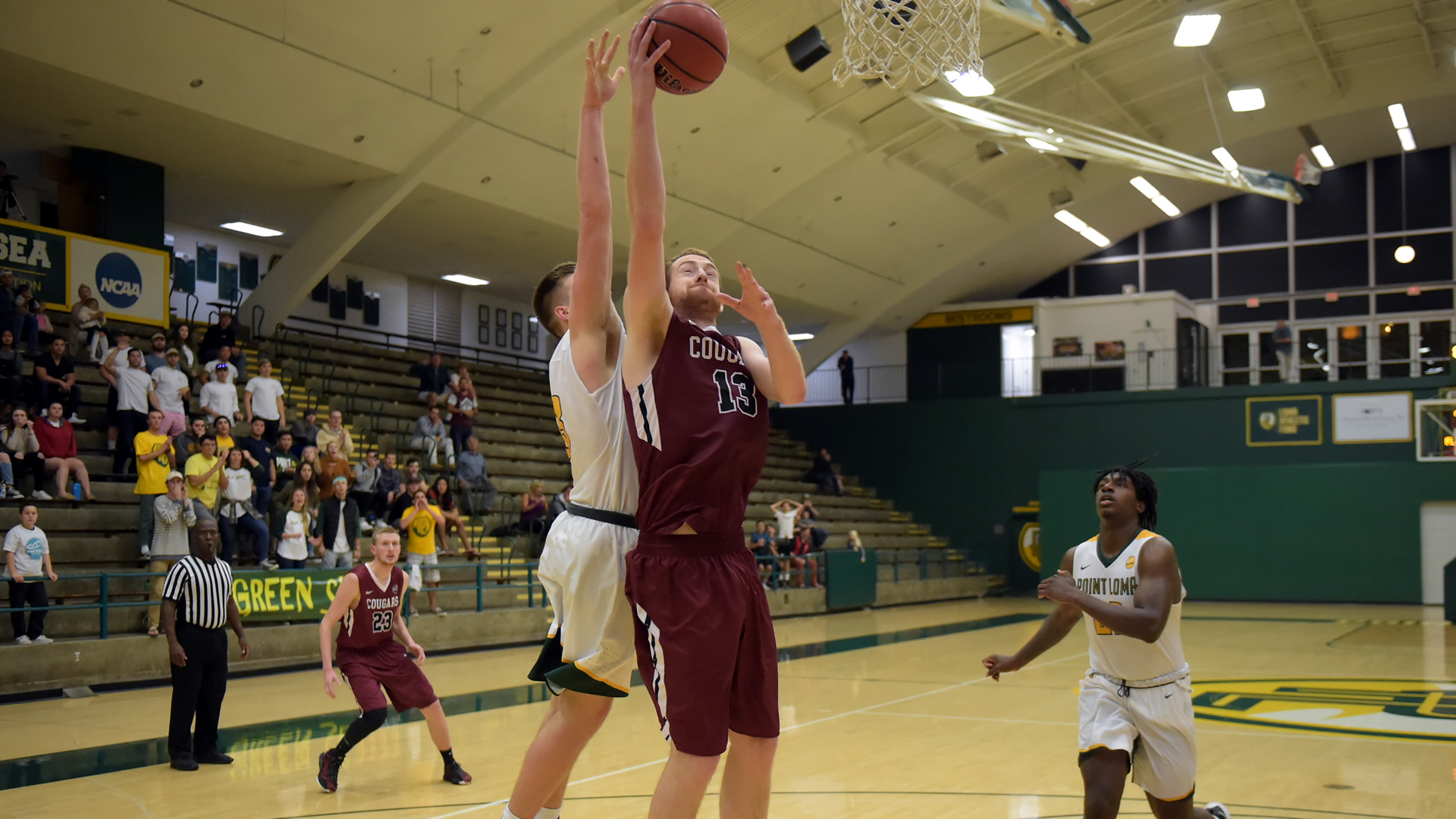 Petar Kutlesic - Men's Basketball - Azusa Pacific University Athletics