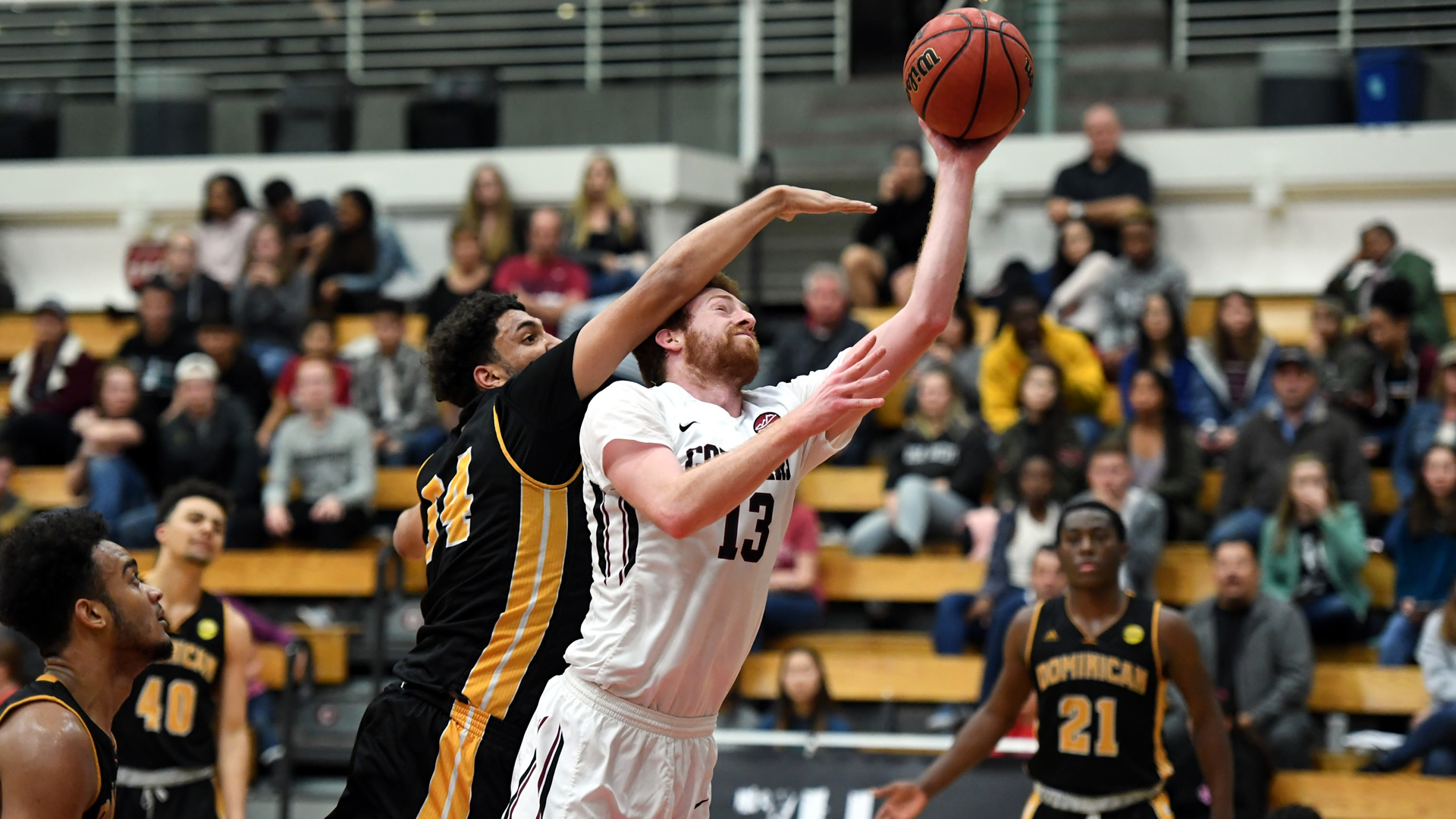 Petar Kutlesic - Men's Basketball - Azusa Pacific University Athletics