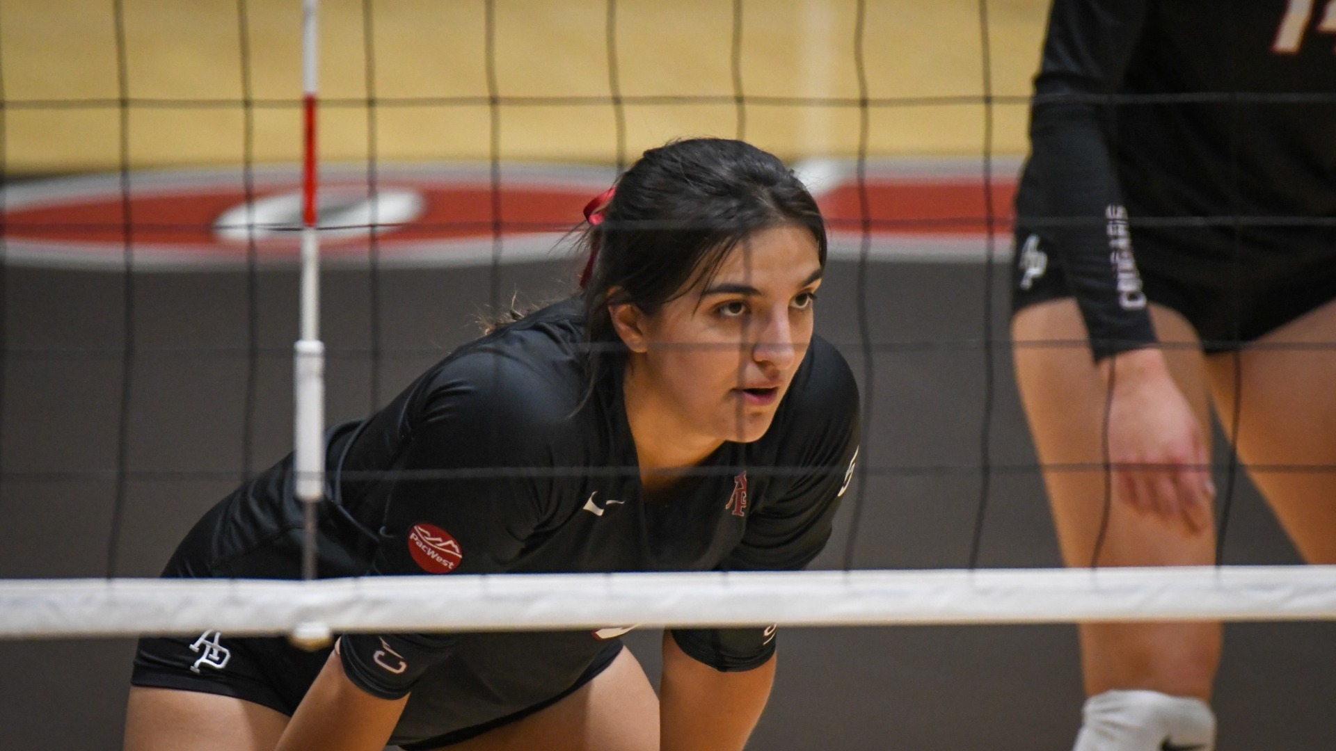 Azusa Pacific Women’s Volleyball Releases 2025 Season Schedule - Azusa ...