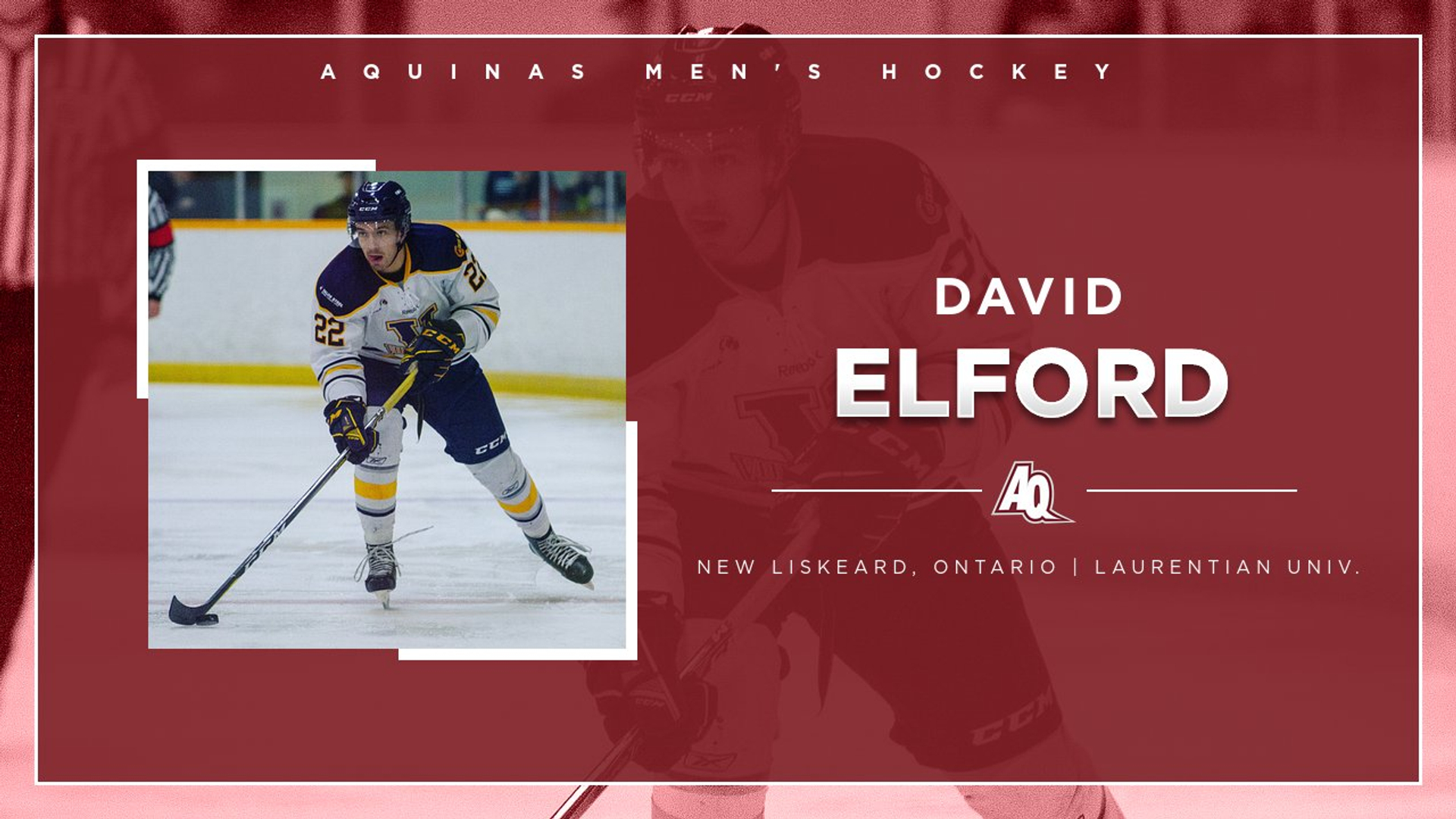 AQ Men's Hockey Program Signs David Elford - Aquinas College