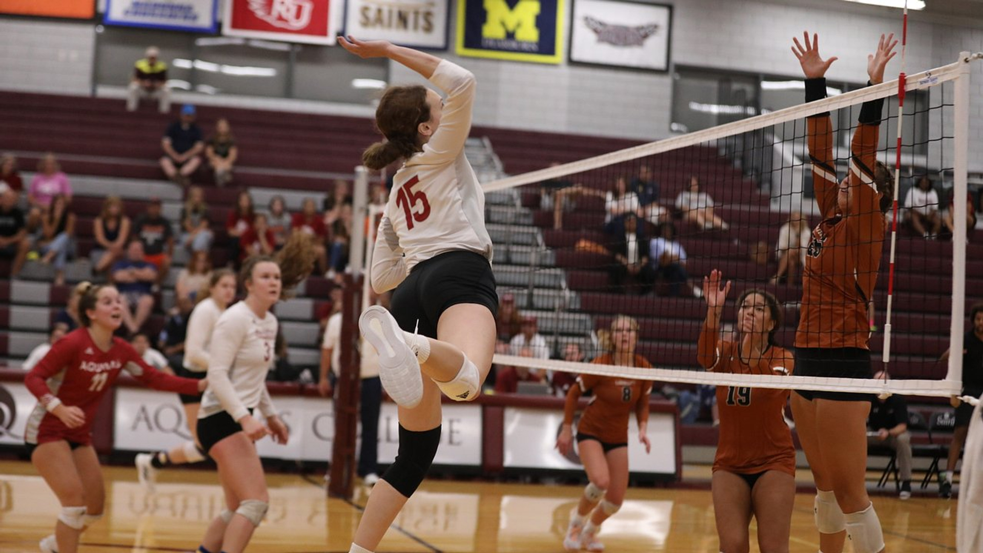 Brooke Nicholson - 2022 - Women's Volleyball - Aquinas College