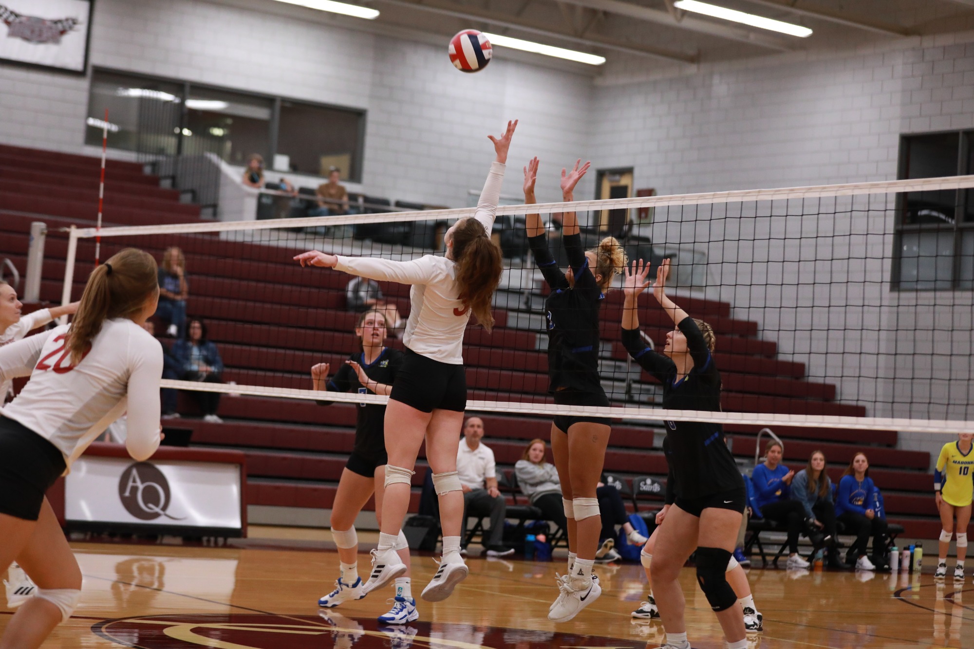 Saints Volleyball Swept by Madonna in Three Close Sets - Aquinas College