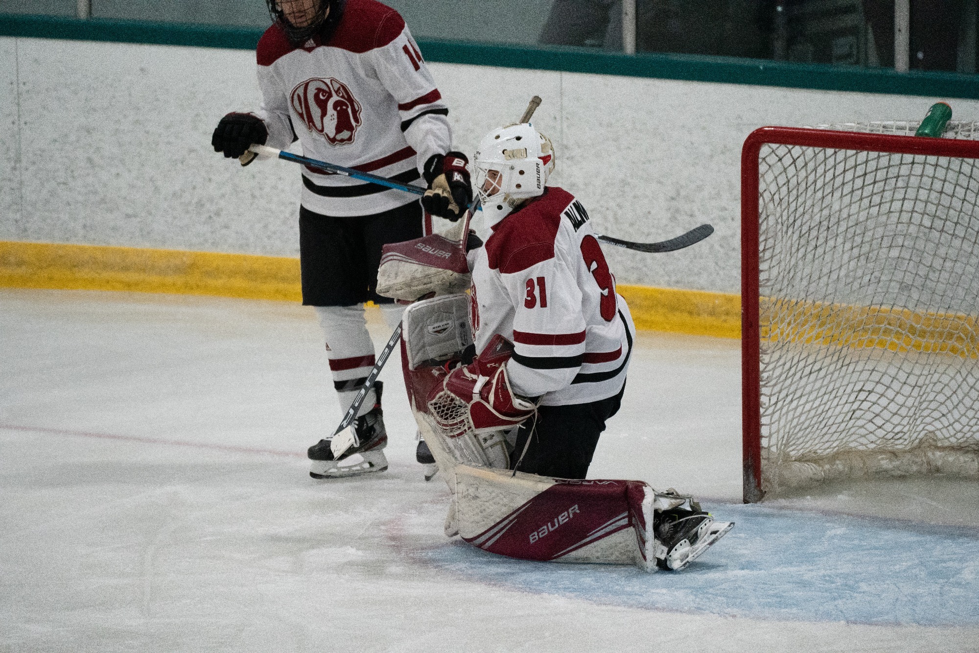 Michael Allman - 2023-24 - Men's Ice Hockey - Aquinas College