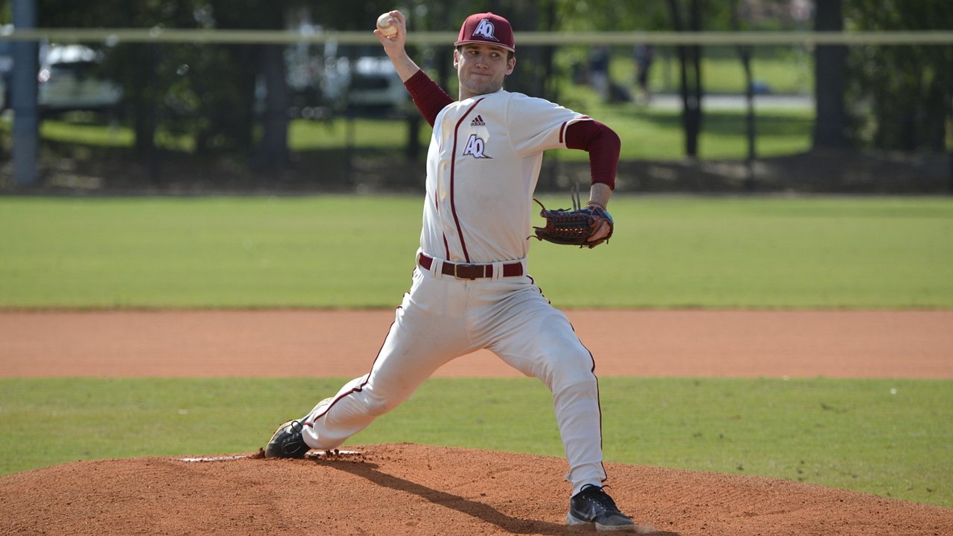 Conor Gausselin - 2024 - Baseball - Aquinas College