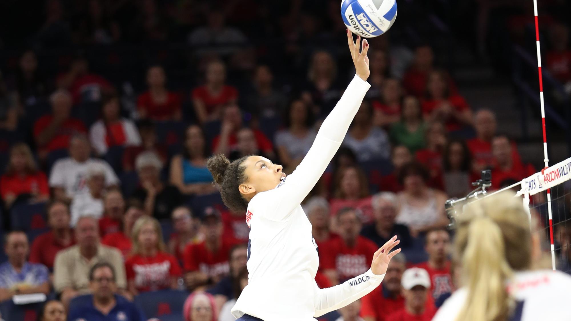 Tyler Spriggs - Volleyball - University of Arizona Athletics