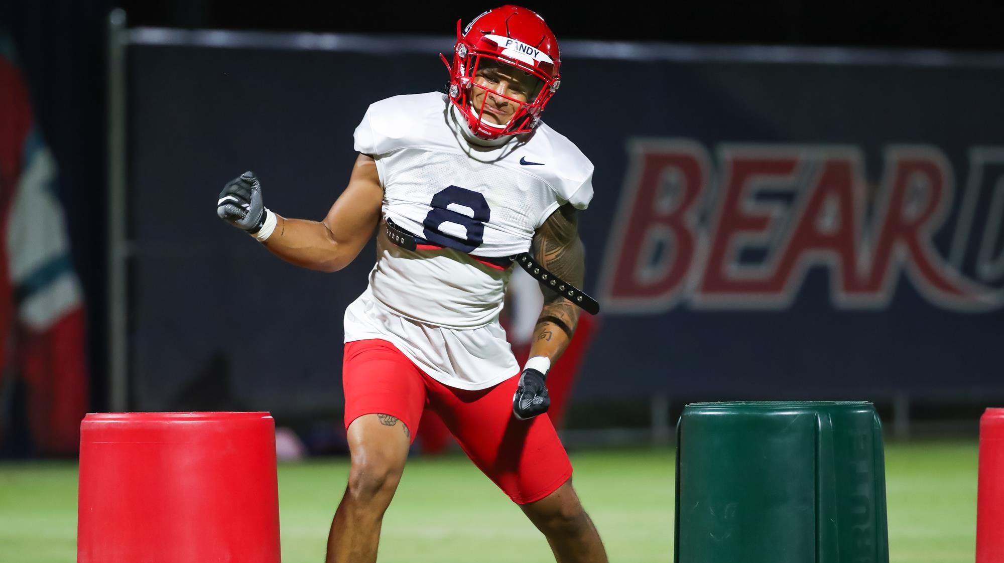 Anthony Pandy - Football - University of Arizona Athletics