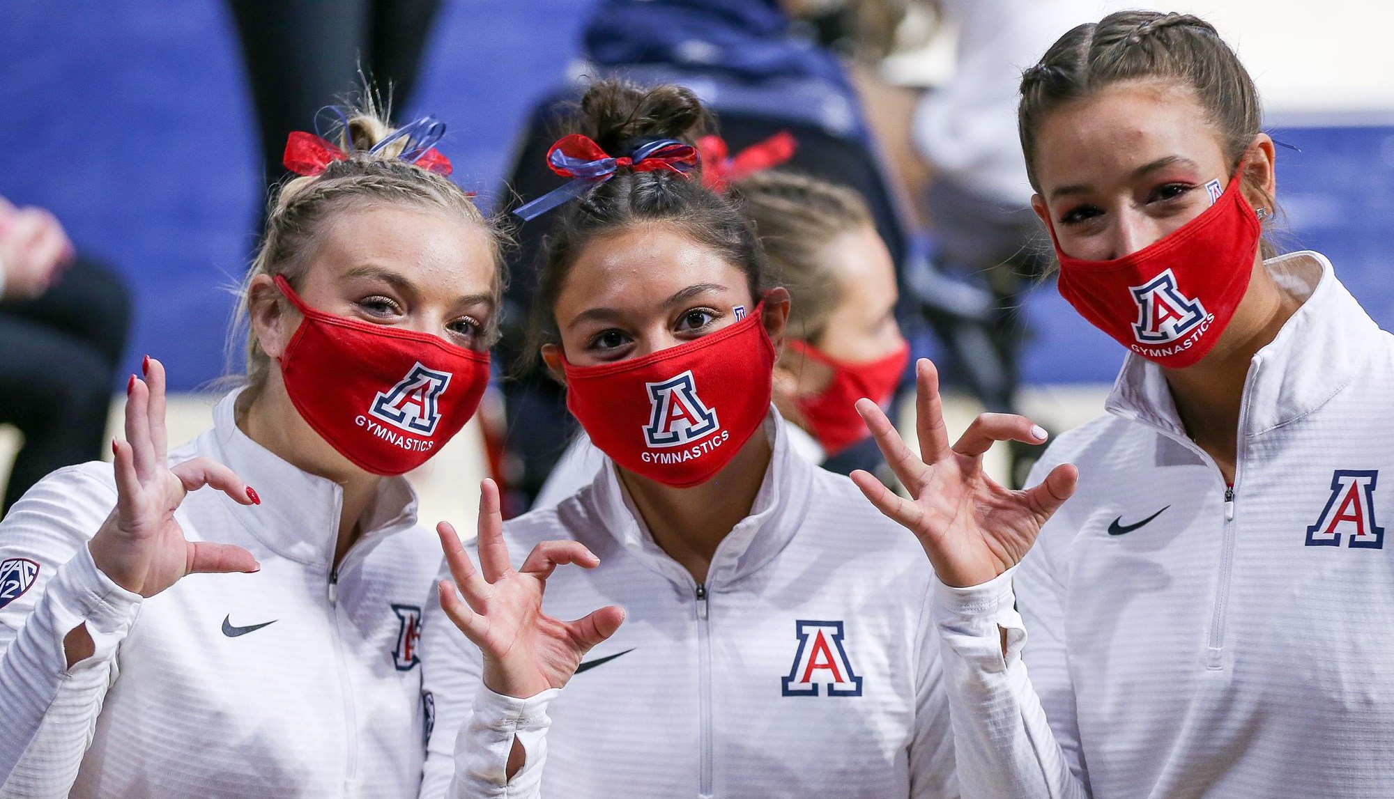 Danielle Nosek - Gymnastics - University of Arizona Athletics