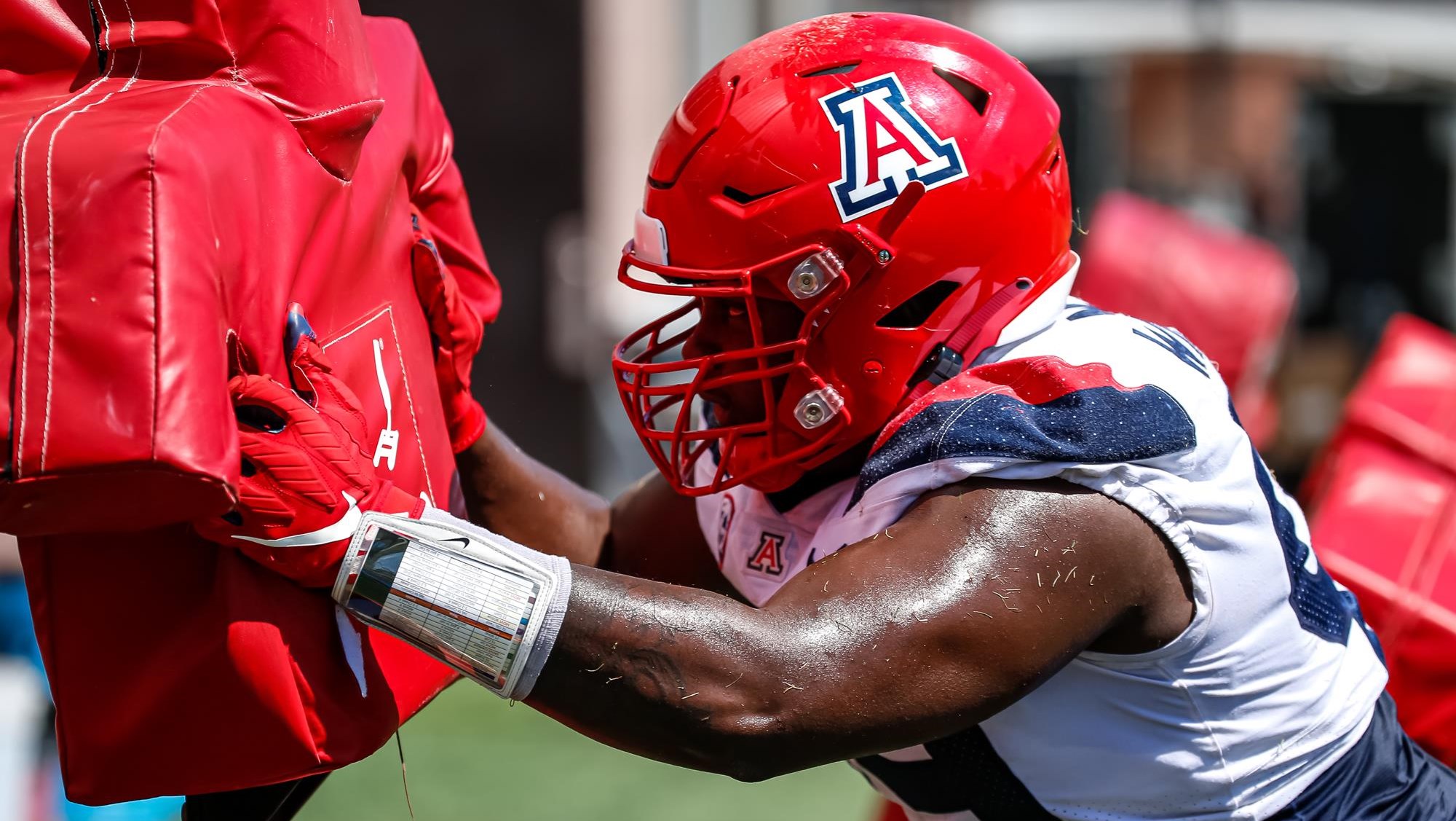 Dion Wilson Jr. - Football - University of Arizona Athletics