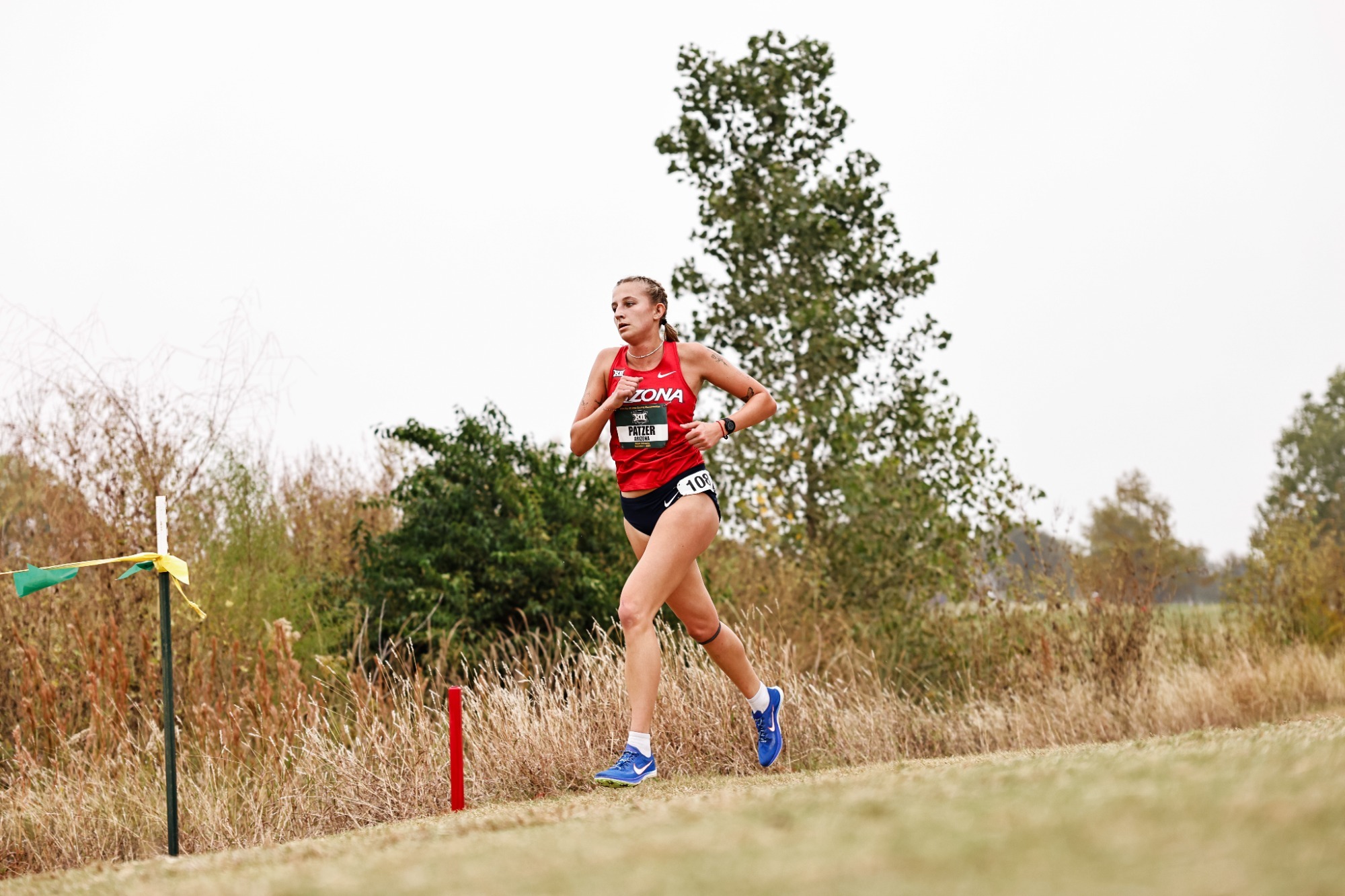 Wildcats Announce 2025 Cross Country Schedule - University of Arizona ...