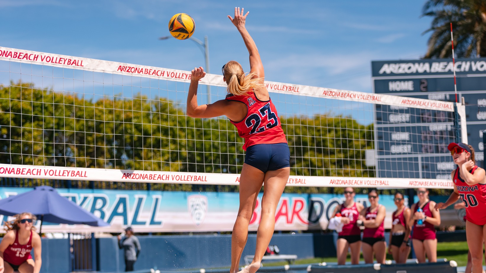 Jess Horwath - Beach Volleyball - University of Arizona Athletics